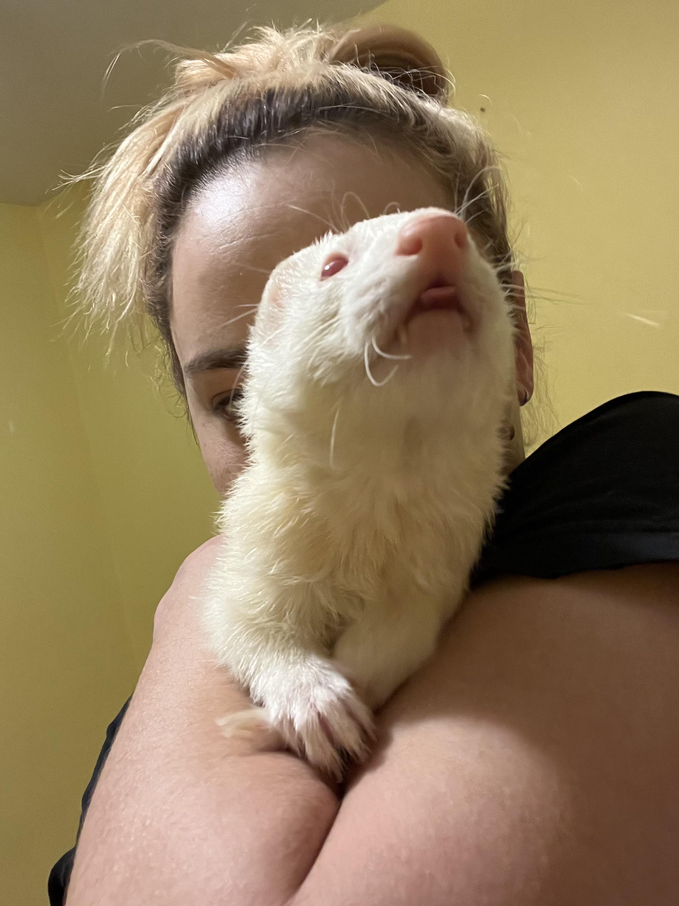 Weasel blep | Scrolller