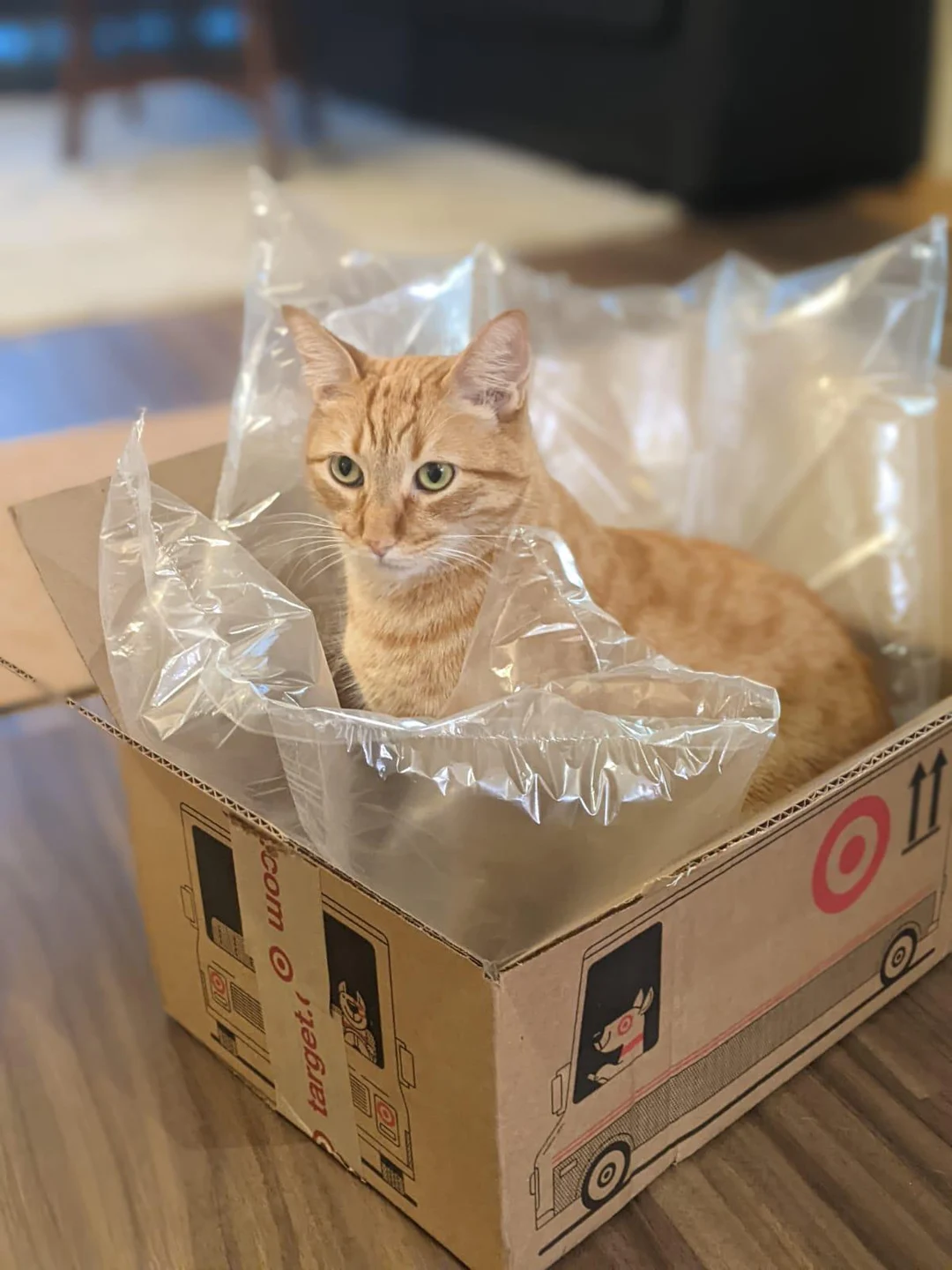 He basically packed himself | Scrolller