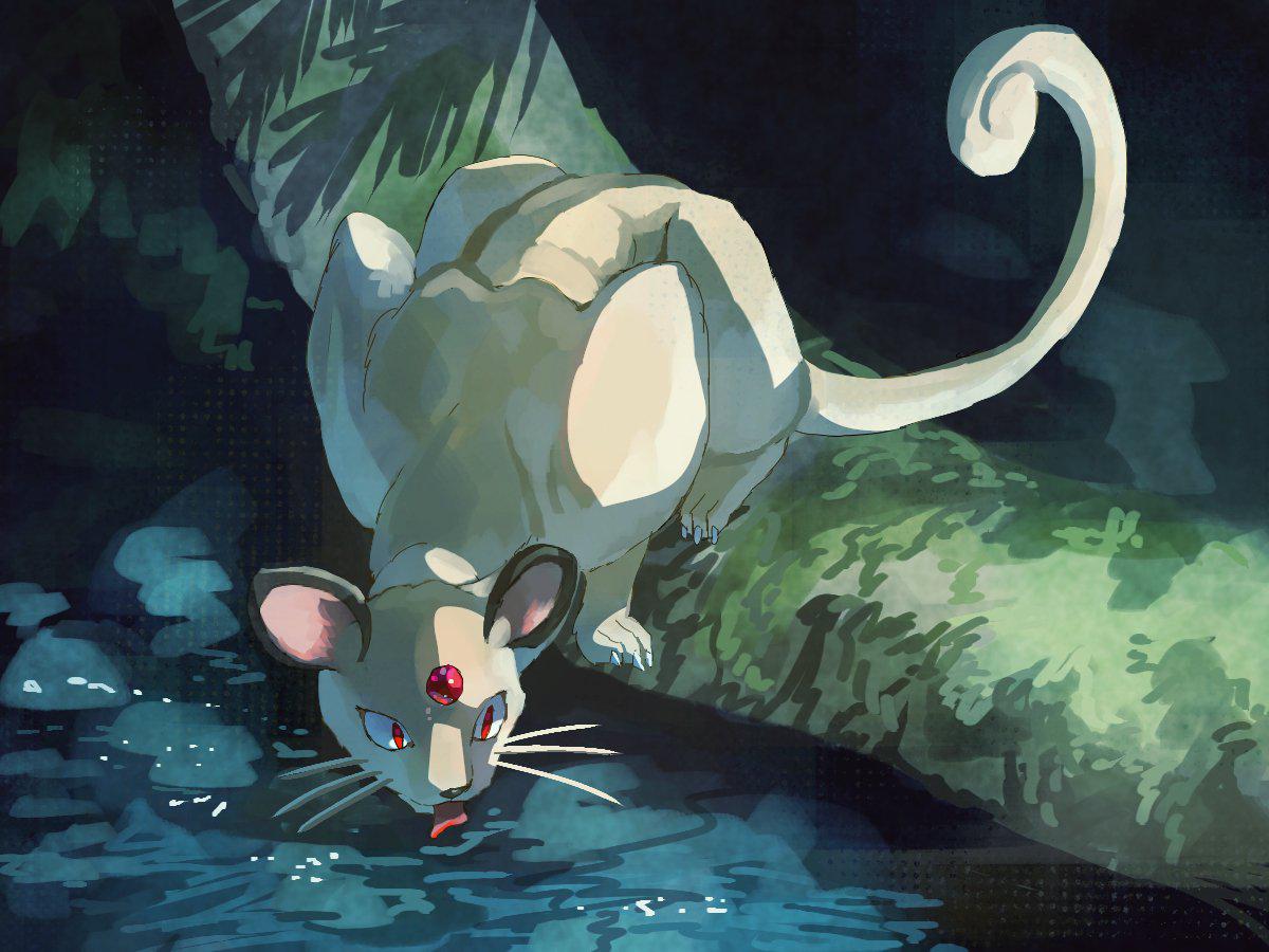 Persian by @fusenryo2 | Scrolller