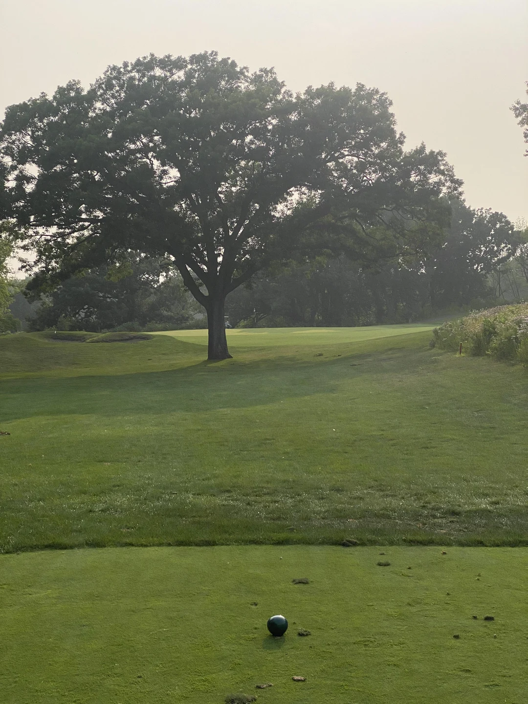 Definitely one of the more interesting par 3s I’ve played | Scrolller