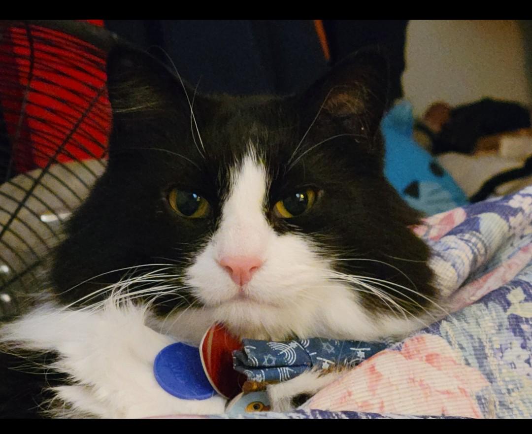 Sweet Face | Scrolller