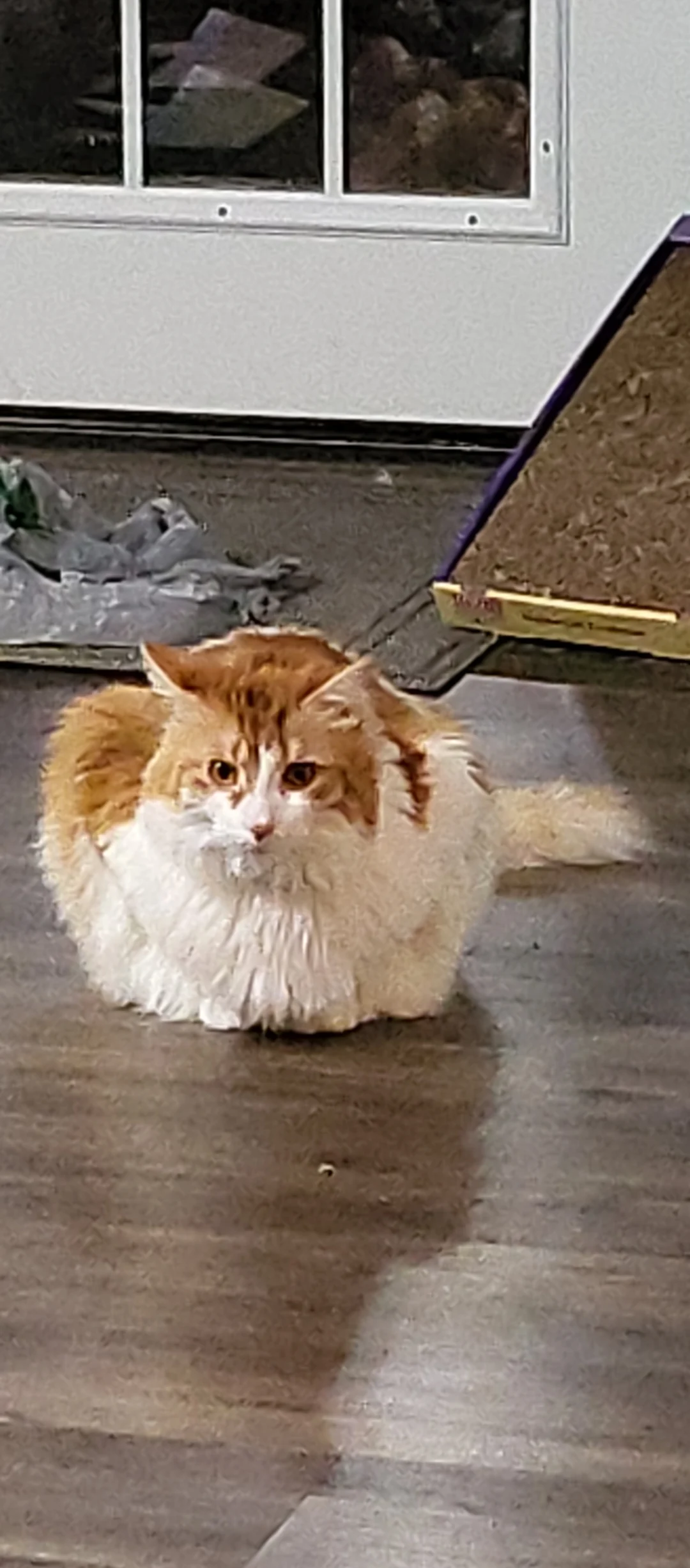 my floof sokka | Scrolller