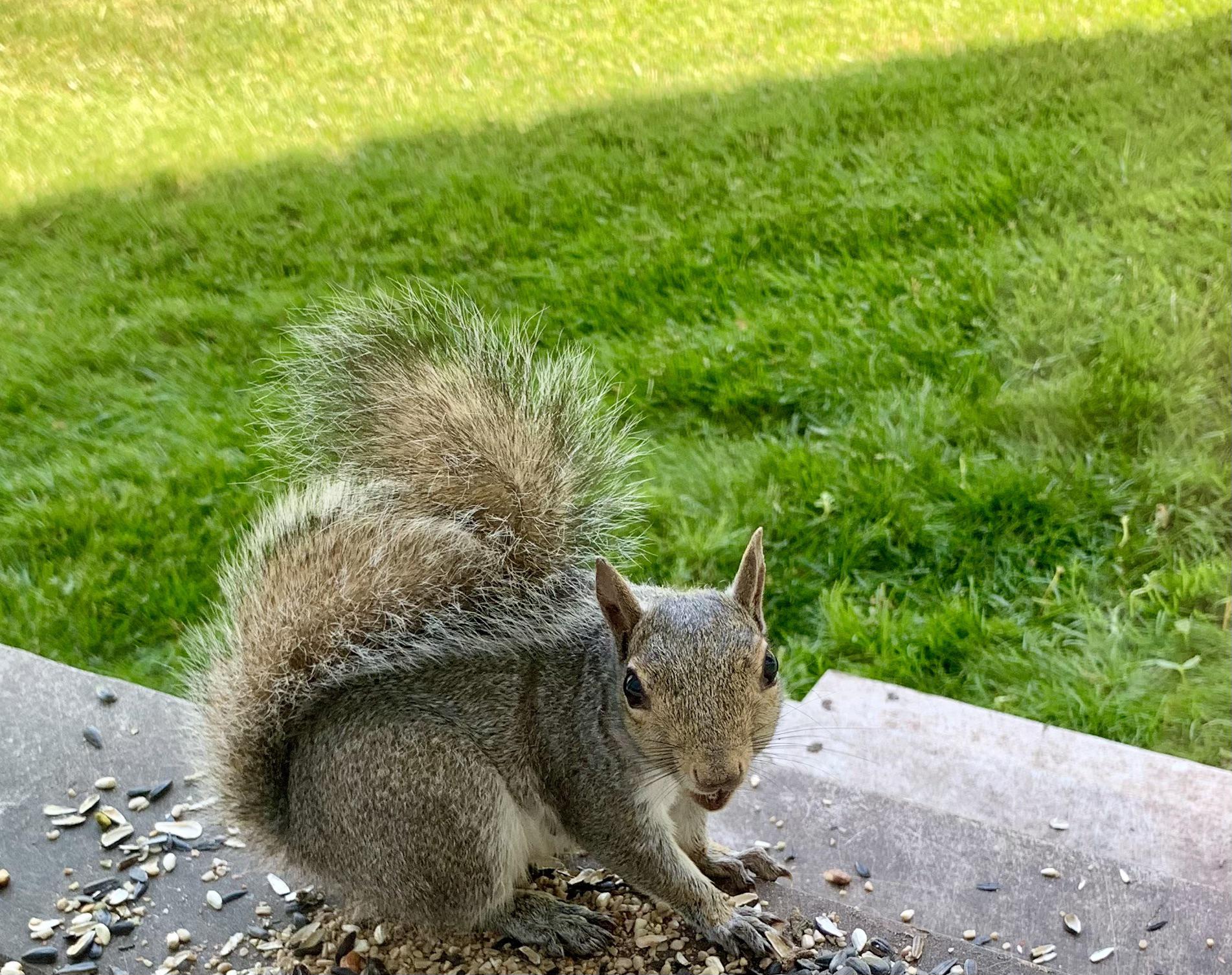 Pretty Stella | Scrolller