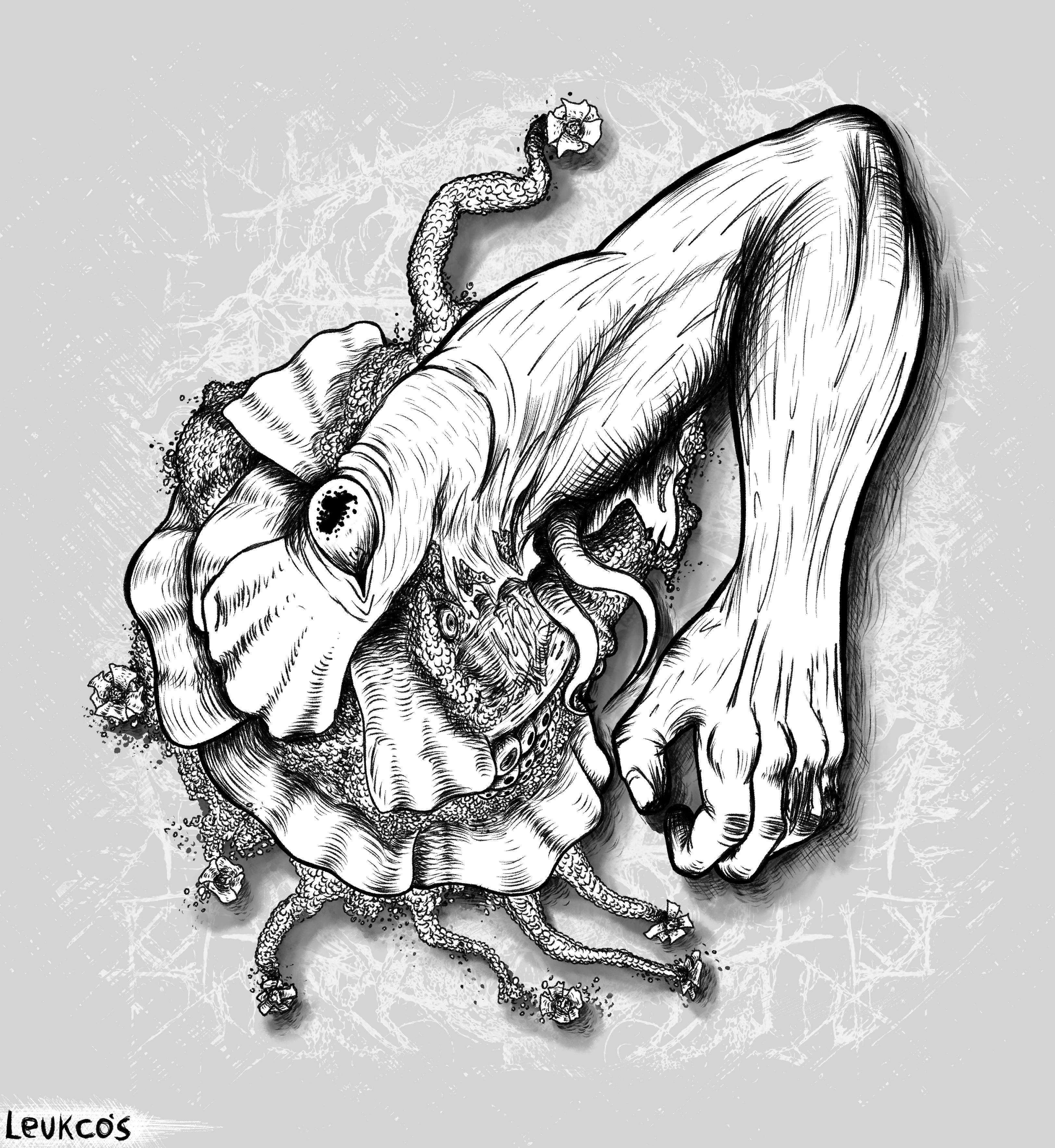 Blooming flower | Scrolller