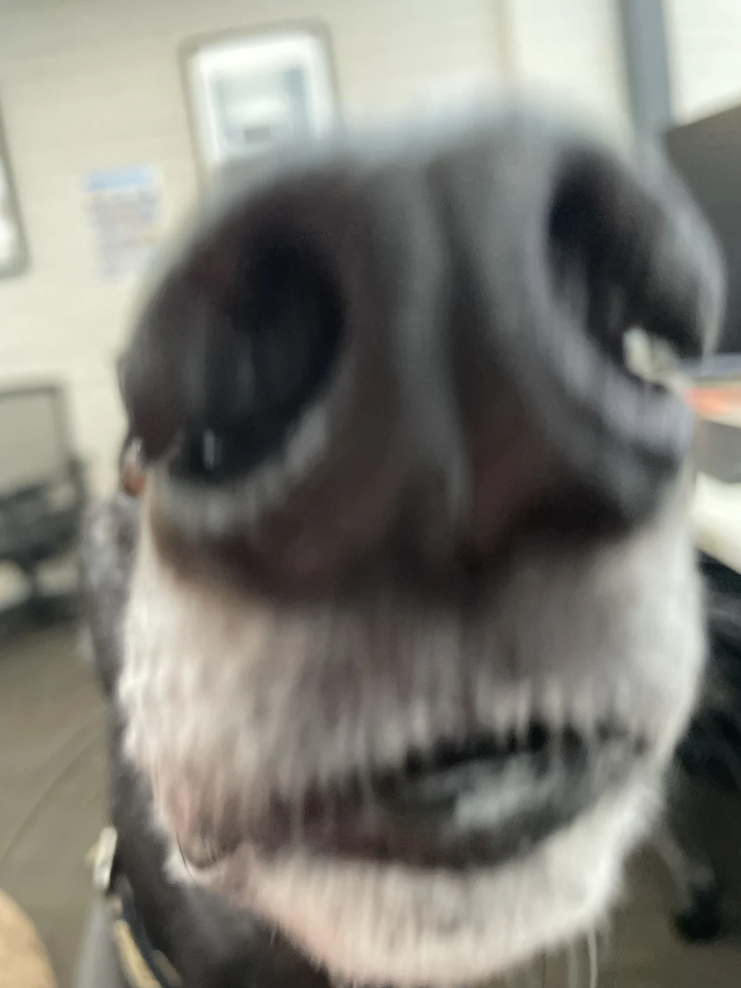 POV: you are a chip | Scrolller