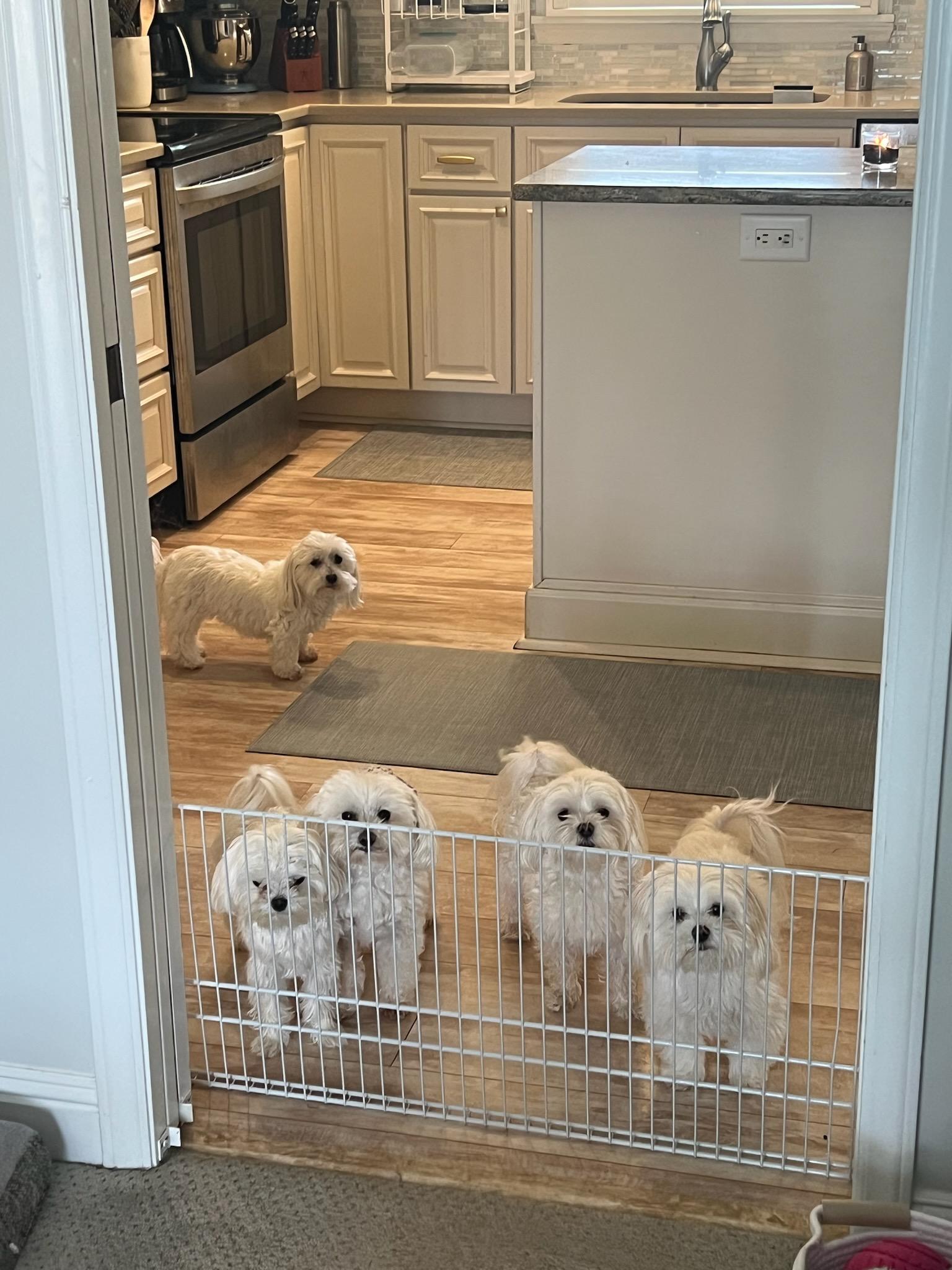 Very curious!! | Scrolller