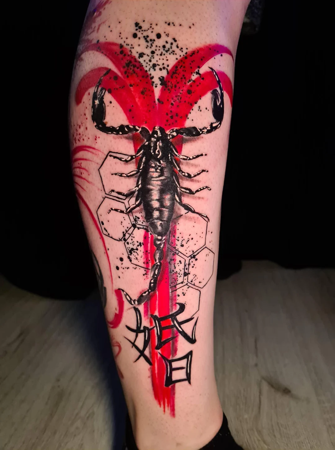 Ram / Scorpio (zodiac signs) in trashpolka. Done by Hania, Hania studio, CZ | Scrolller
