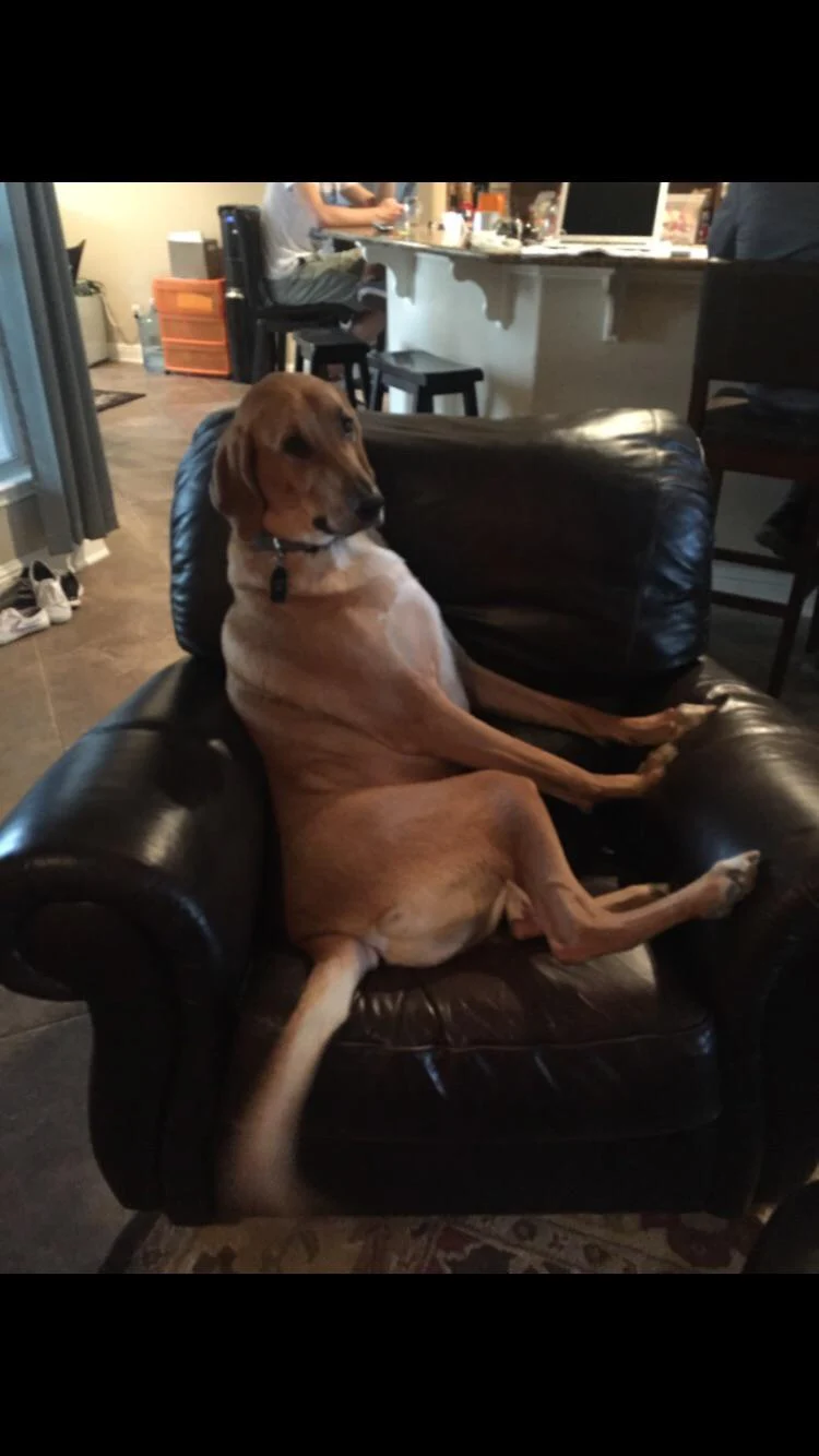 Just another human | Scrolller