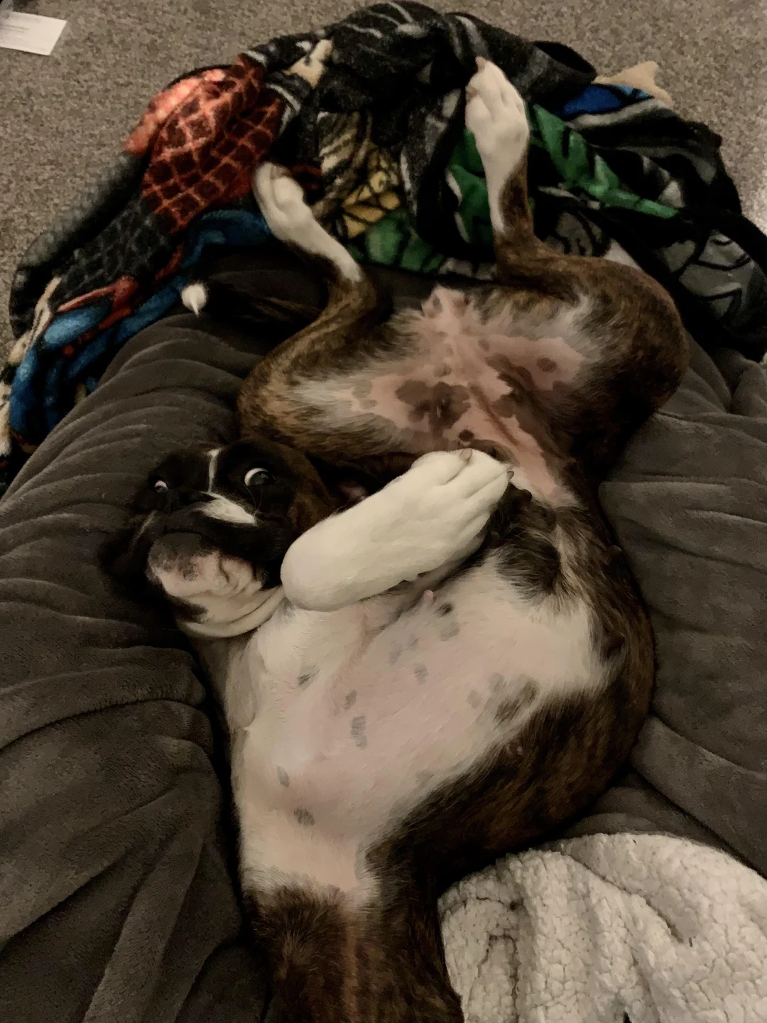 She Was Fast Asleep Like This Scrolller
