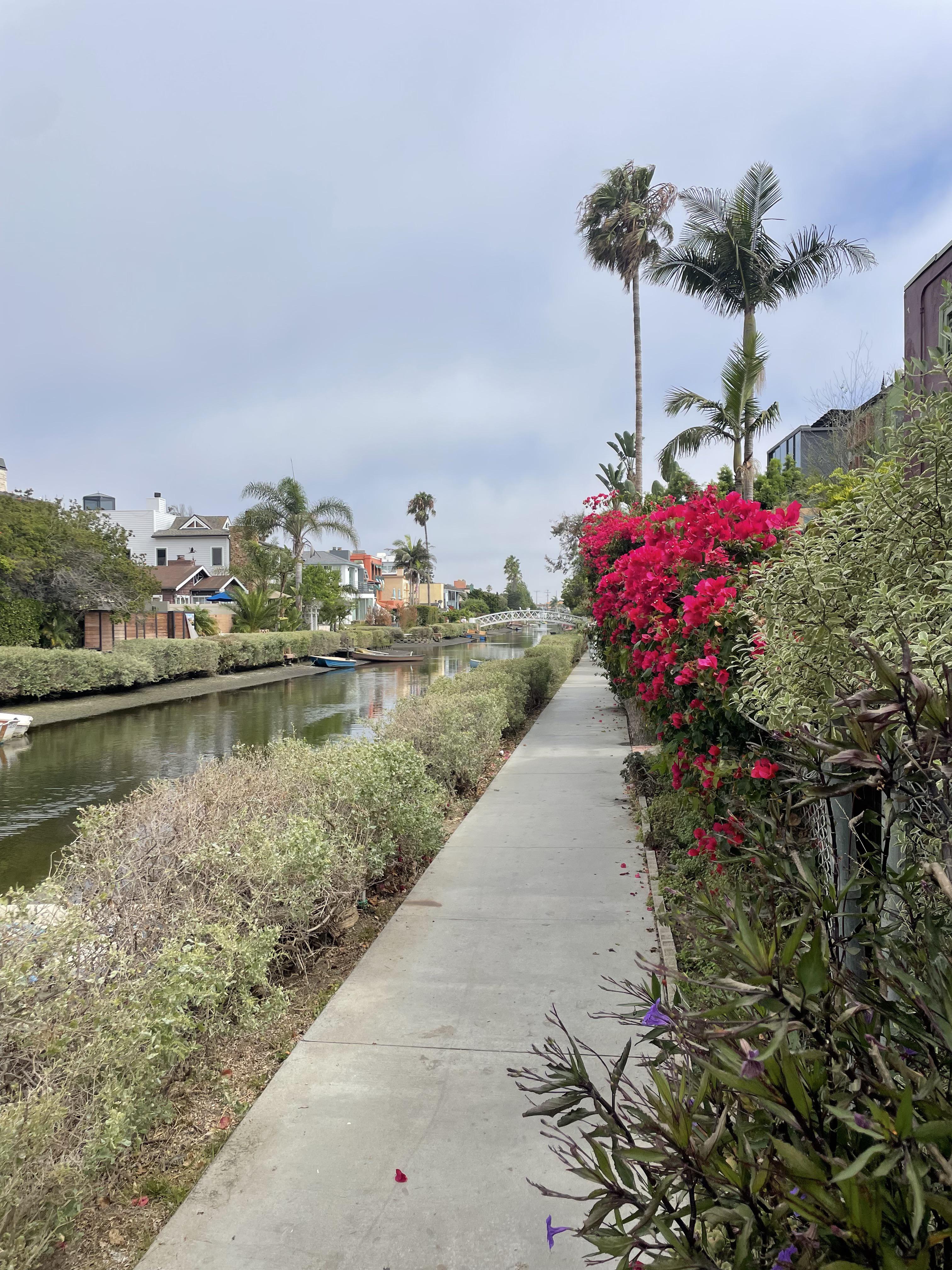 Venice, California | Scrolller