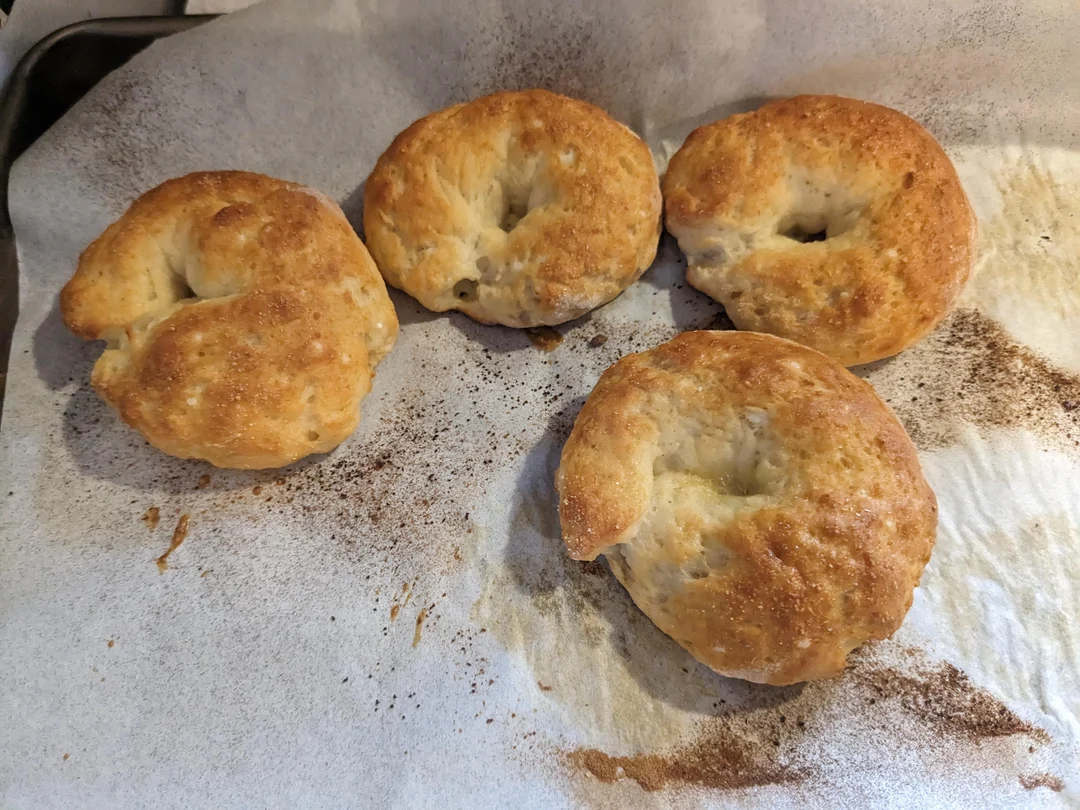 Made bagels for the first time today! | Scrolller