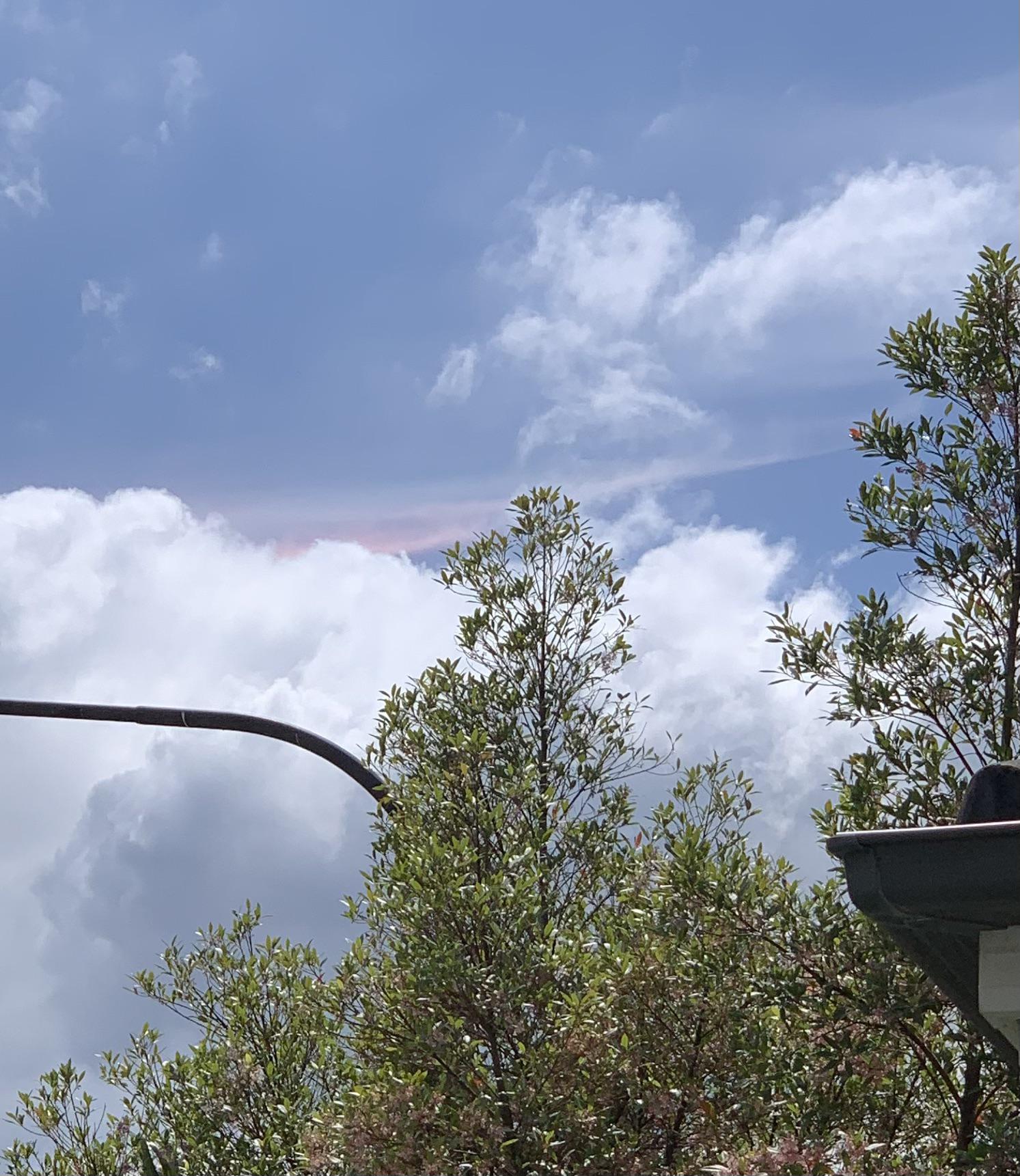 Please explain | Scrolller