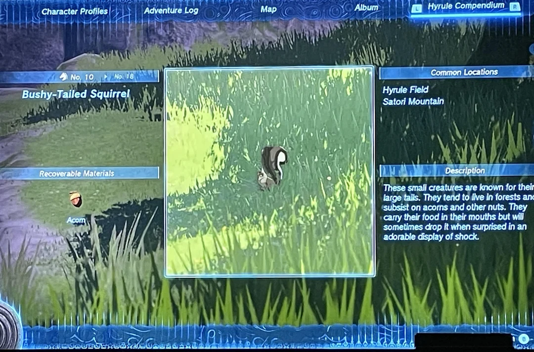 My obsession with squirrels is even present in Zelda. | Scrolller