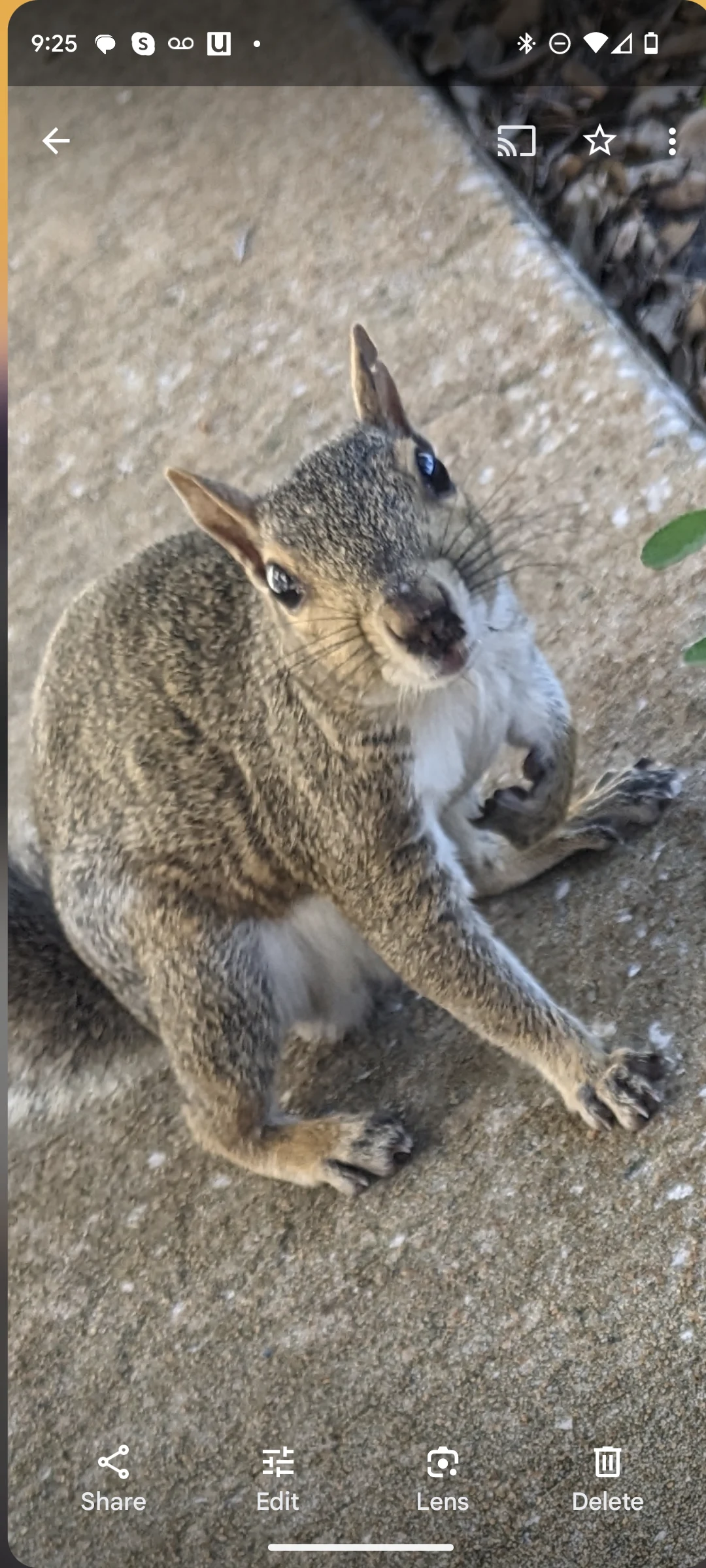 Is this a dirty nose, or something else? | Scrolller