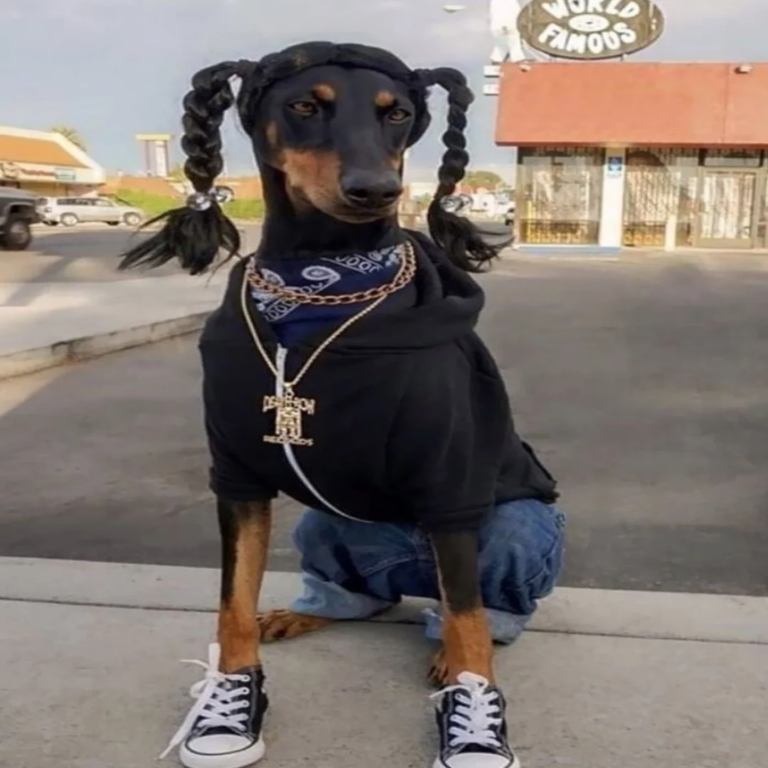 Snoop Doggy Dogg. | Scrolller