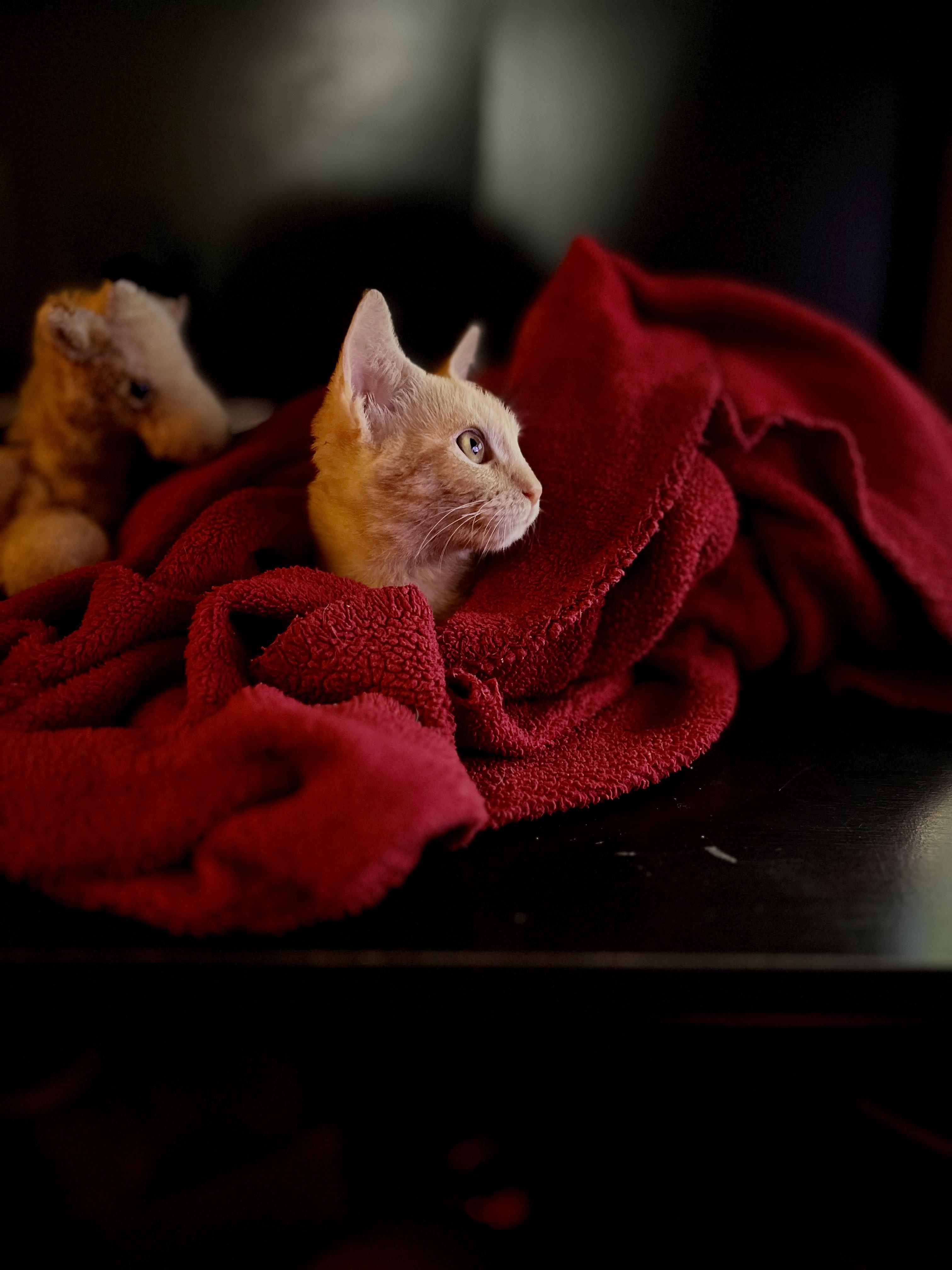 Helping me with CAD work | Scrolller