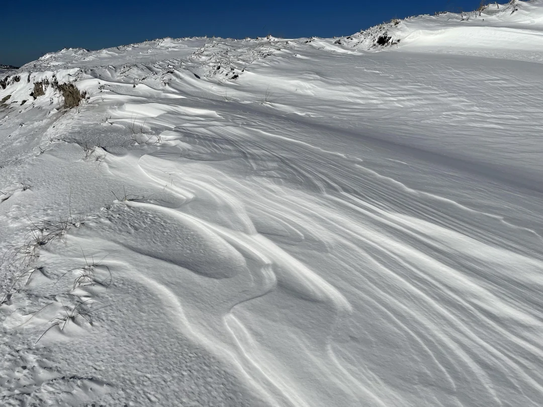 Wind swept dunes- Crane Beach, Massachusetts | Scrolller