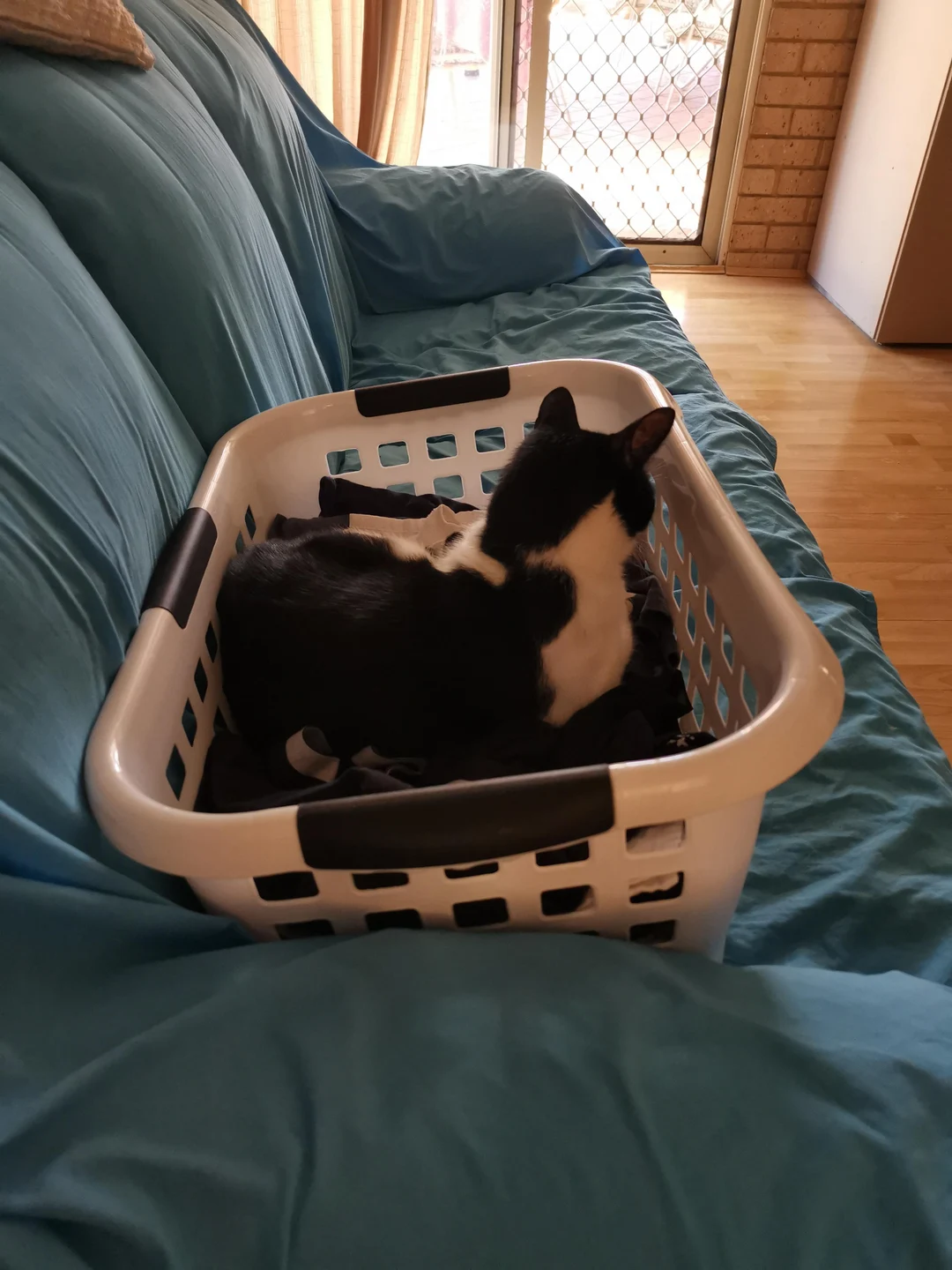 Nothing more tempting than a basket of freshly folded laundry. | Scrolller