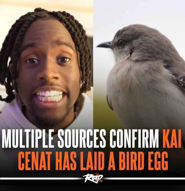 Discover more like Meme: Multiple sources and Related Content | Scrolller