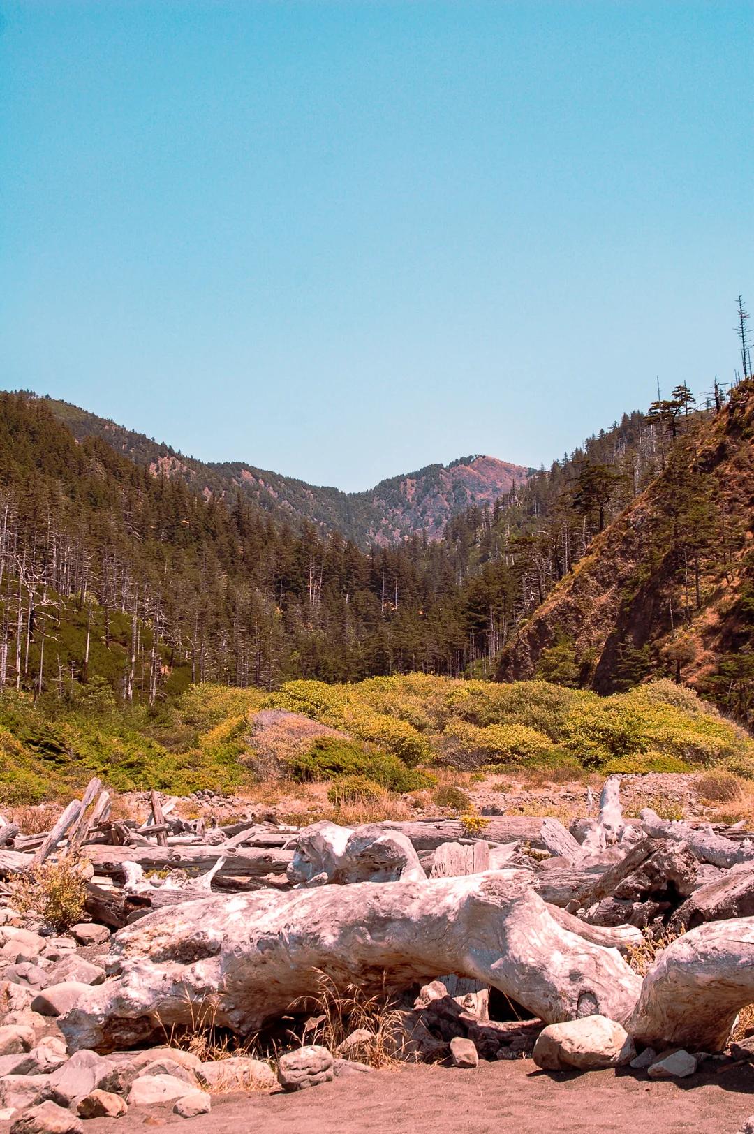 Valley along the Lost Coast Trail - Eureka, CA [OC] [2000 × 3008] | Scrolller