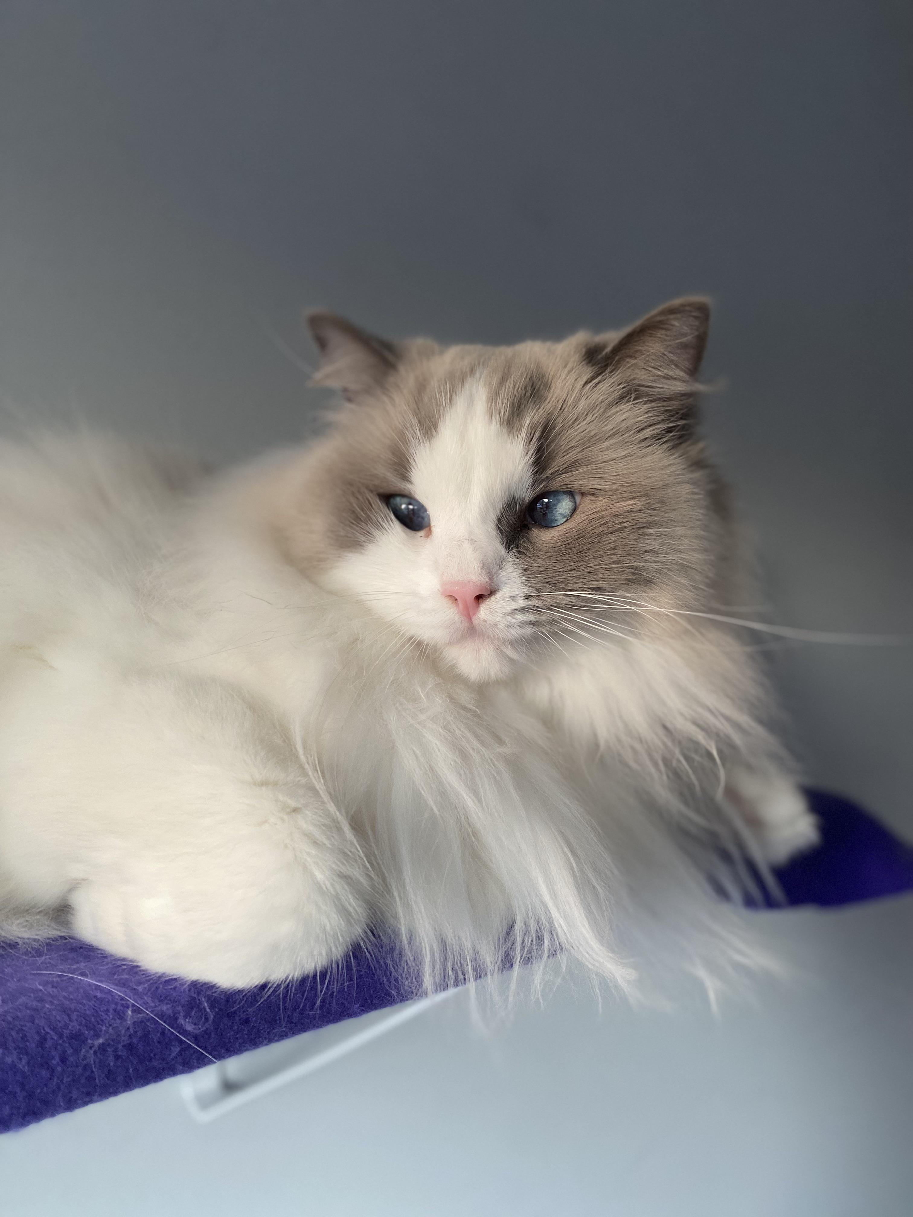 Almas waterfall floof | Scrolller