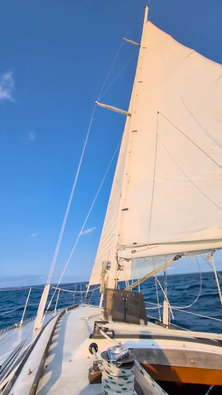 Lake Michigan Day Sail | Scrolller