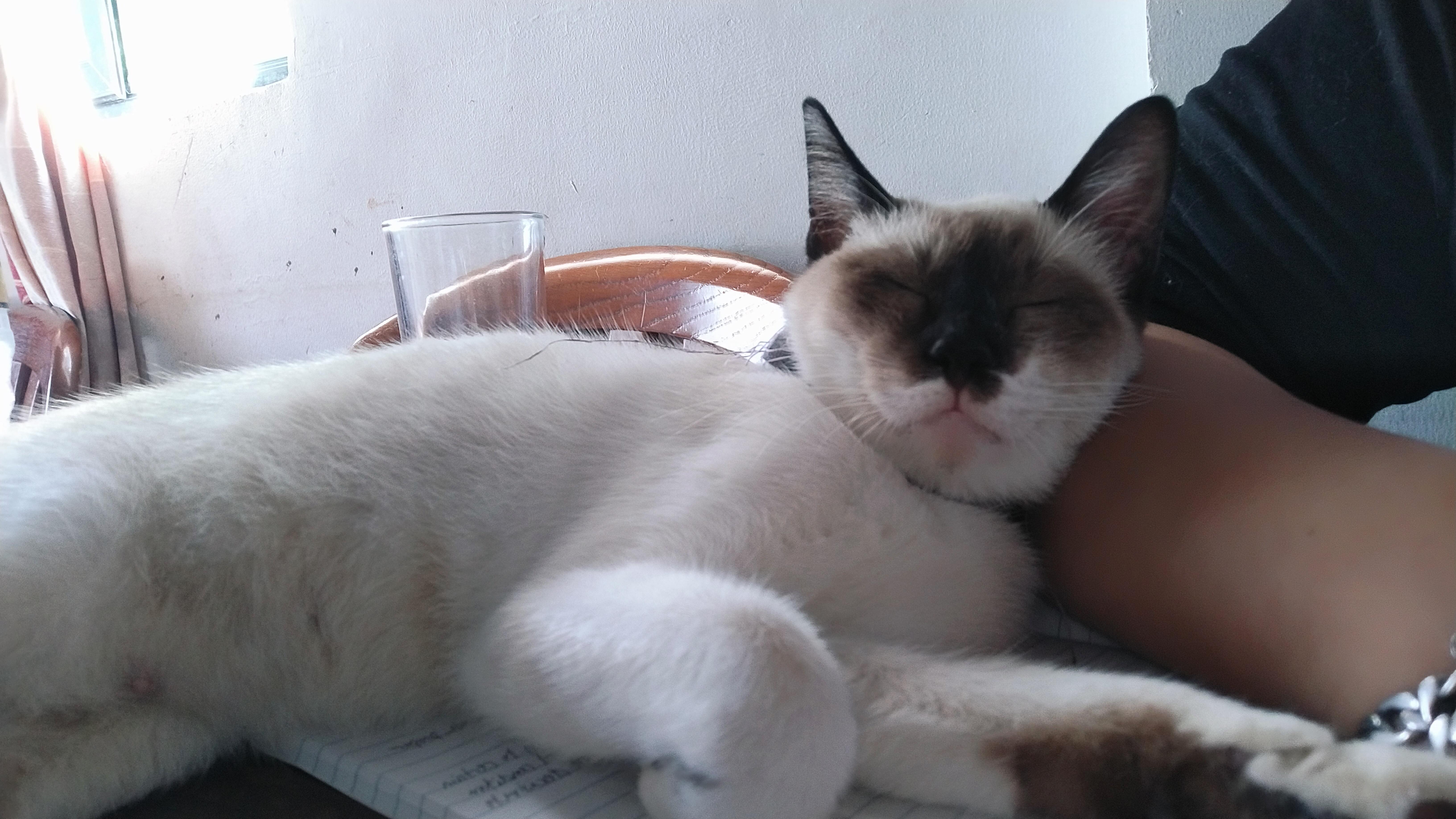 Sleepyhead | Scrolller