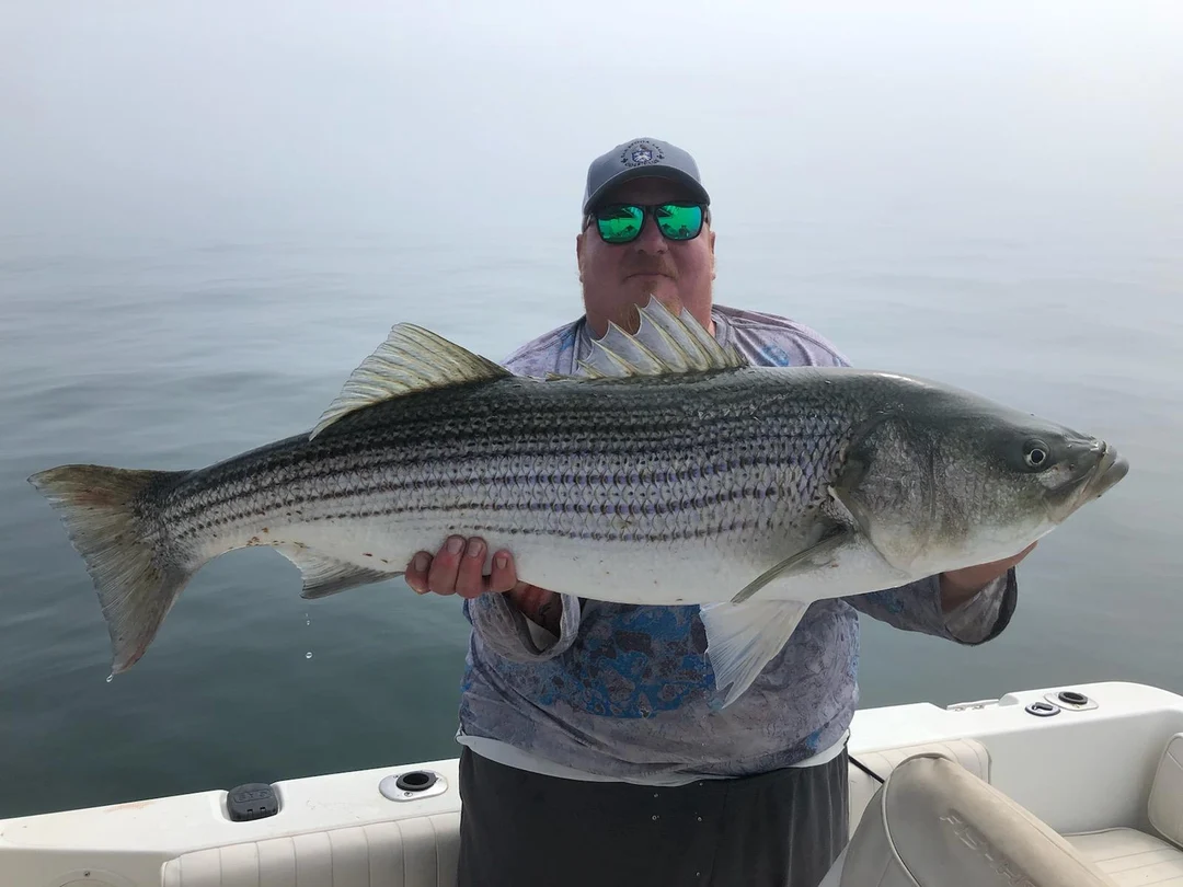 Had some salty fun on Cape Cod | Scrolller