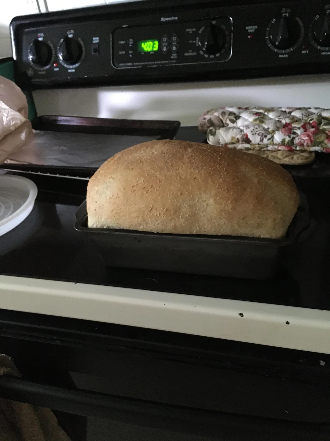 Free the loaves | Scrolller