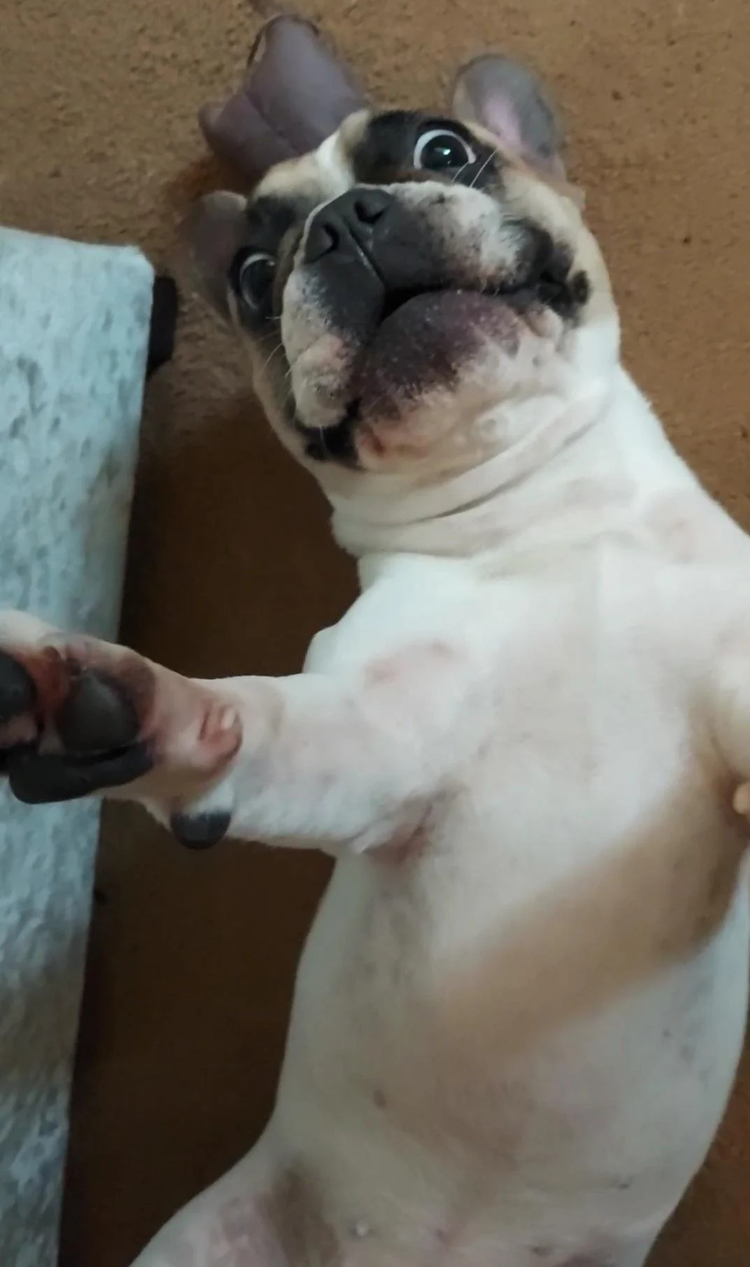 my little weirdo 🤣 | Scrolller