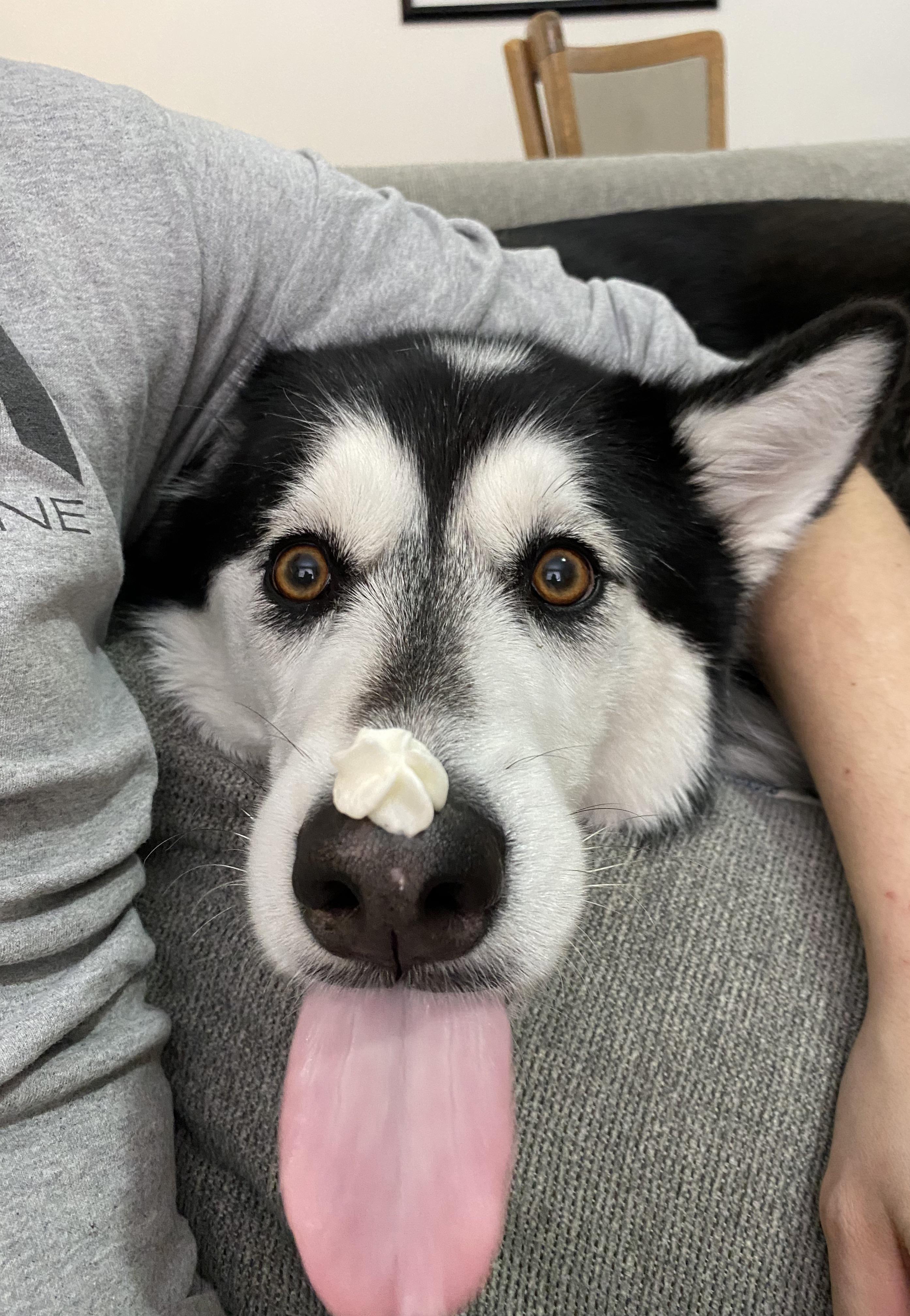 My beautiful derp | Scrolller