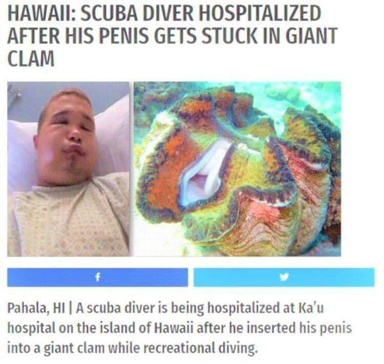 Well, I mean… it was a clam | Scrolller