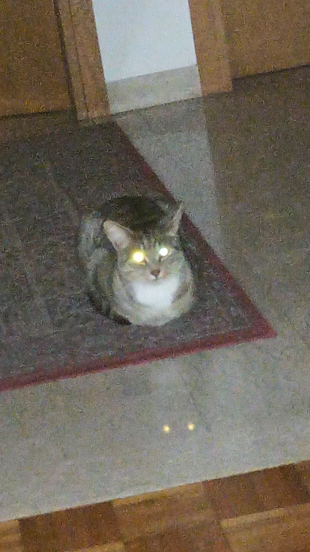 Horror Loaf | Scrolller