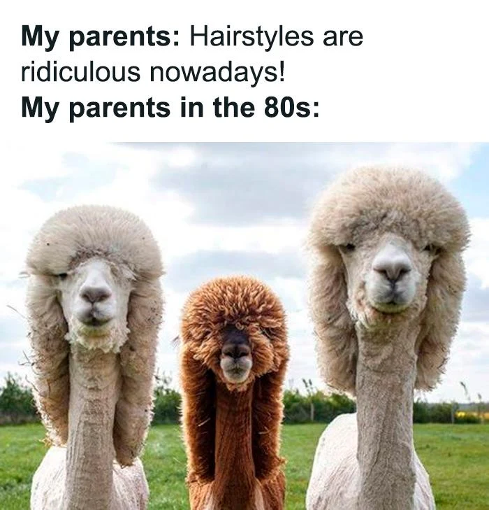 Yo mamma is SO llama. | Scrolller