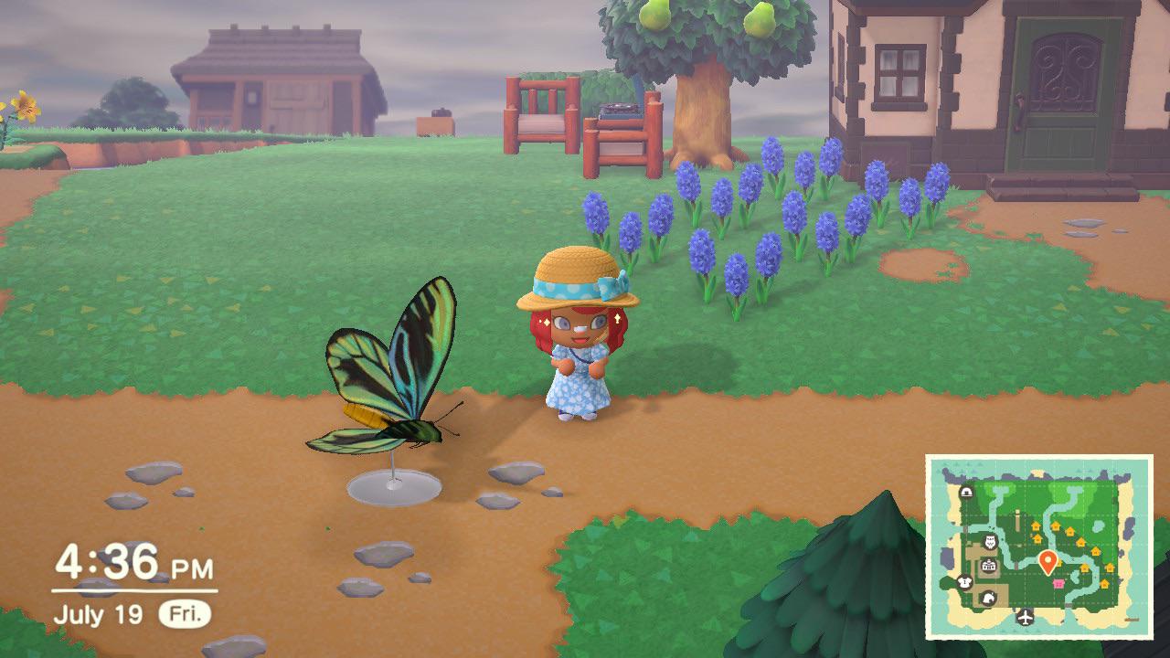 Insect models 🦋 | Scrolller