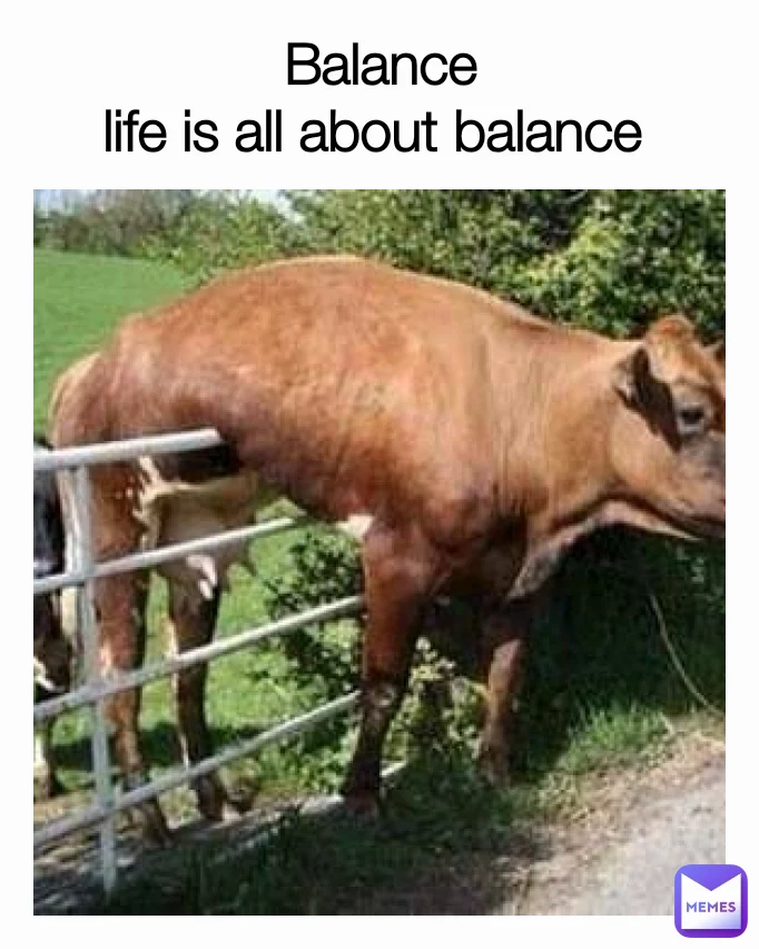 Balance right? | Scrolller