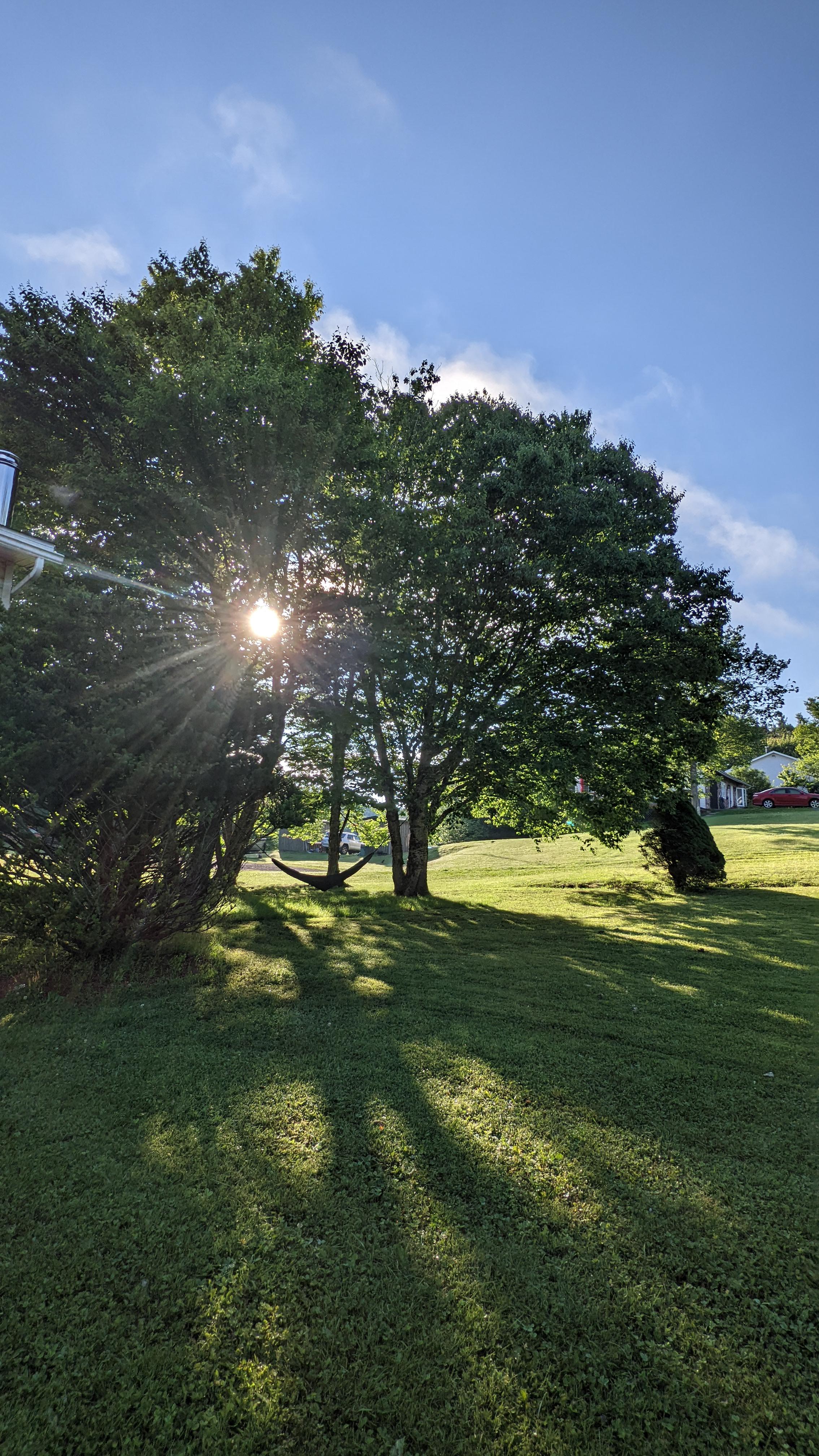 morning sun rays | Scrolller