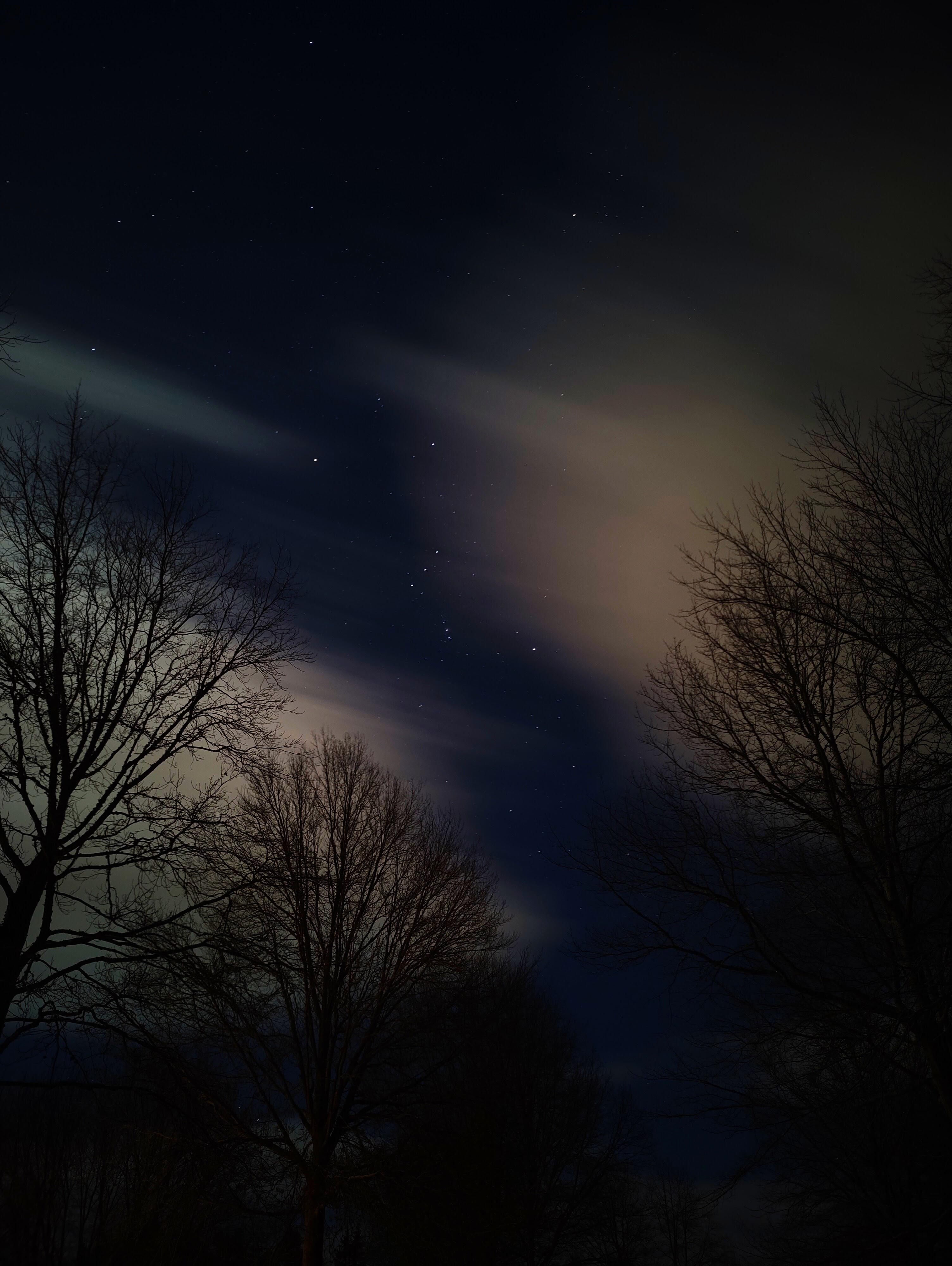 Orion on Long Island | Scrolller