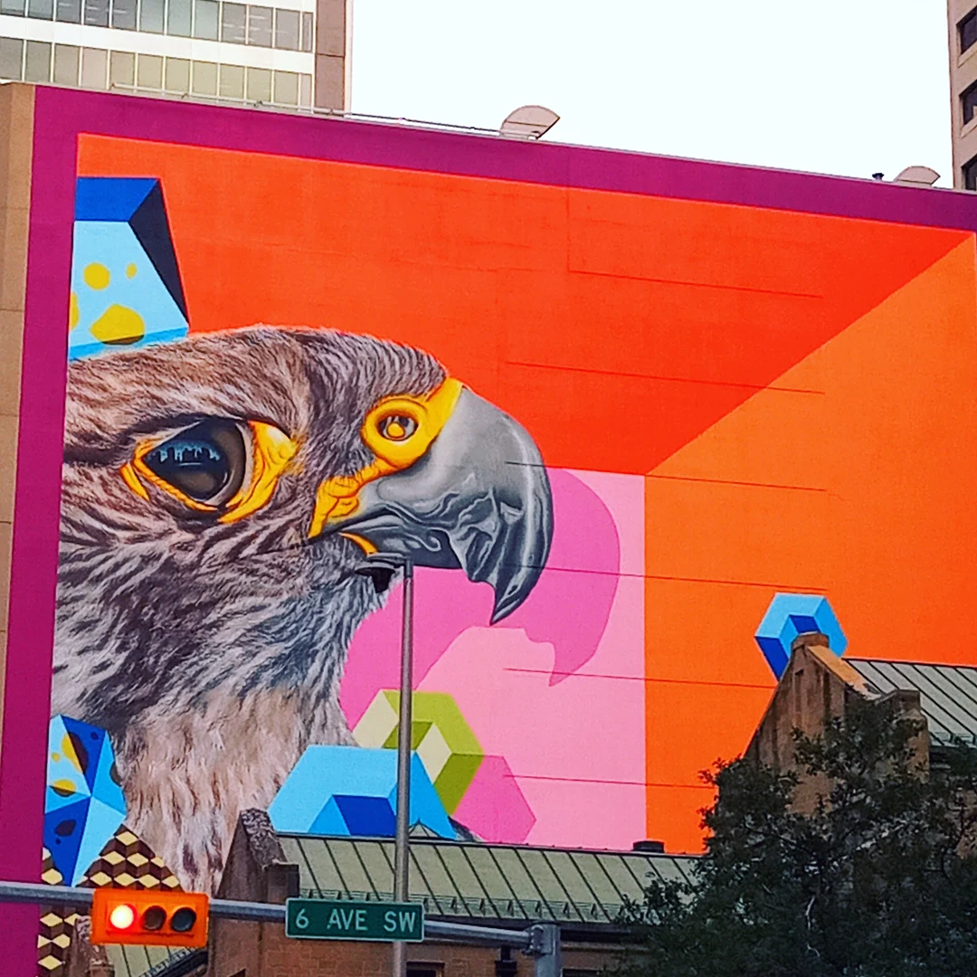 birdO Calgary, AB | Scrolller