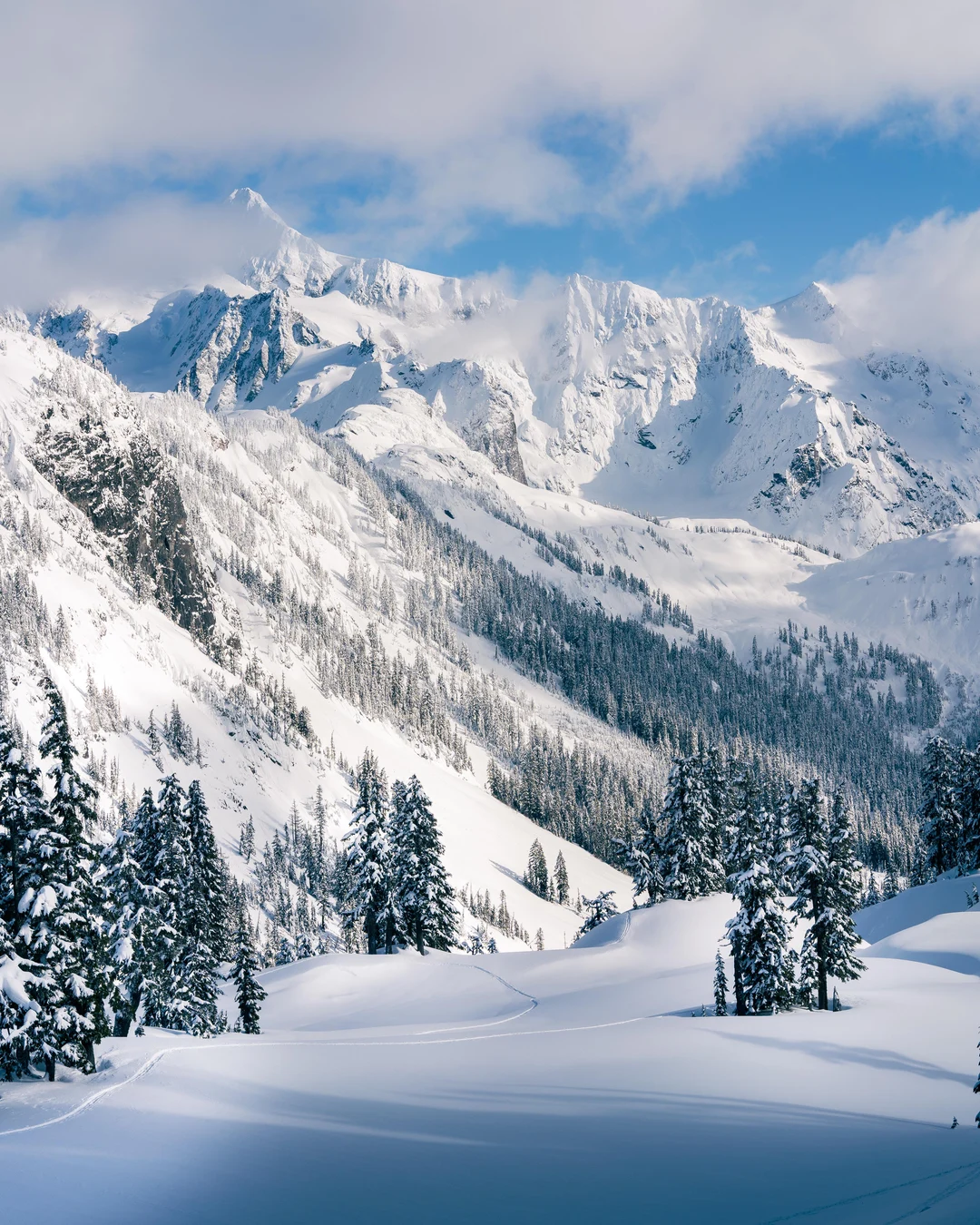 A Beautiful Winter Day in the Shadow of Mount Shuksan, WA [4000x5000][OC] | Scrolller