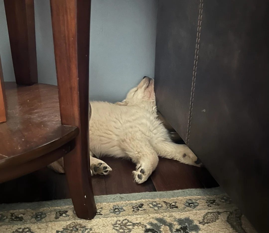 He doesn't seem very comfortable... | Scrolller