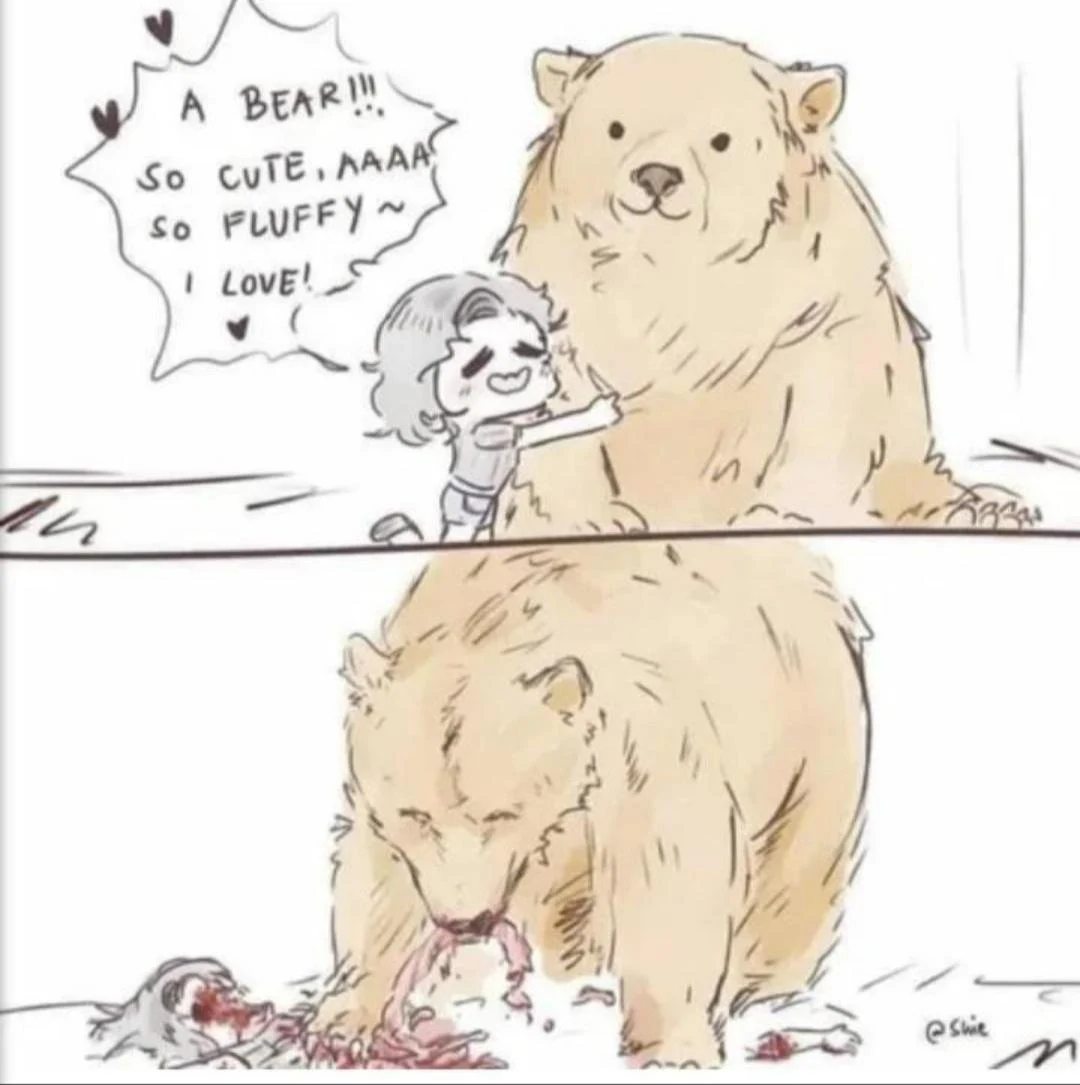 Alr ladies go with your bear | Scrolller