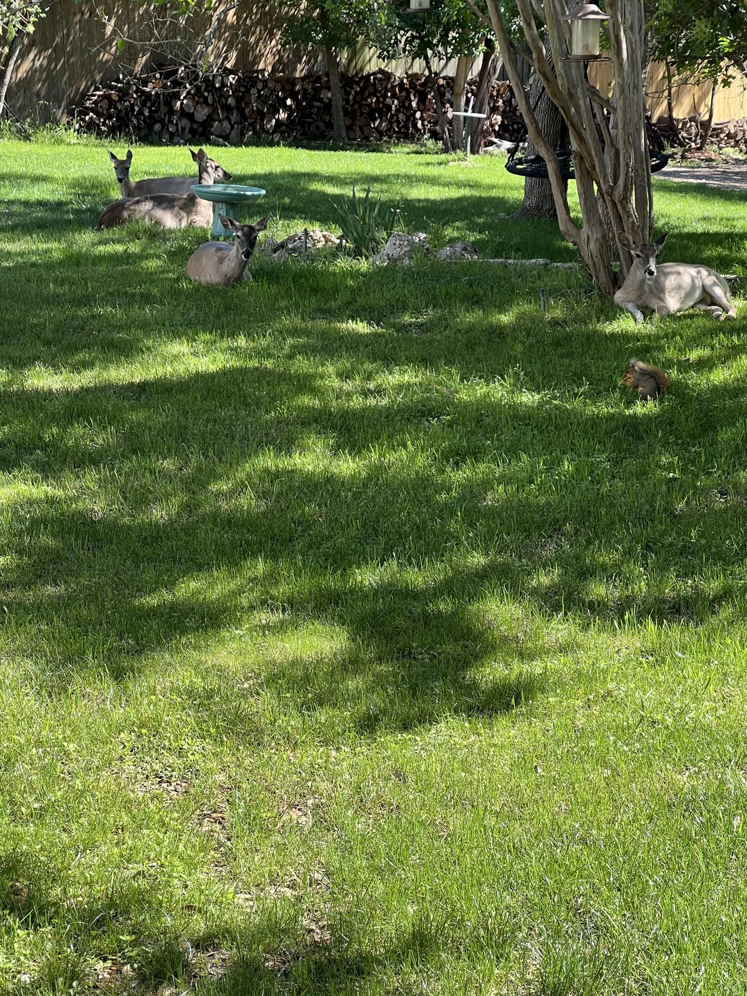 Meanwhile, somewhere in Texas | Scrolller