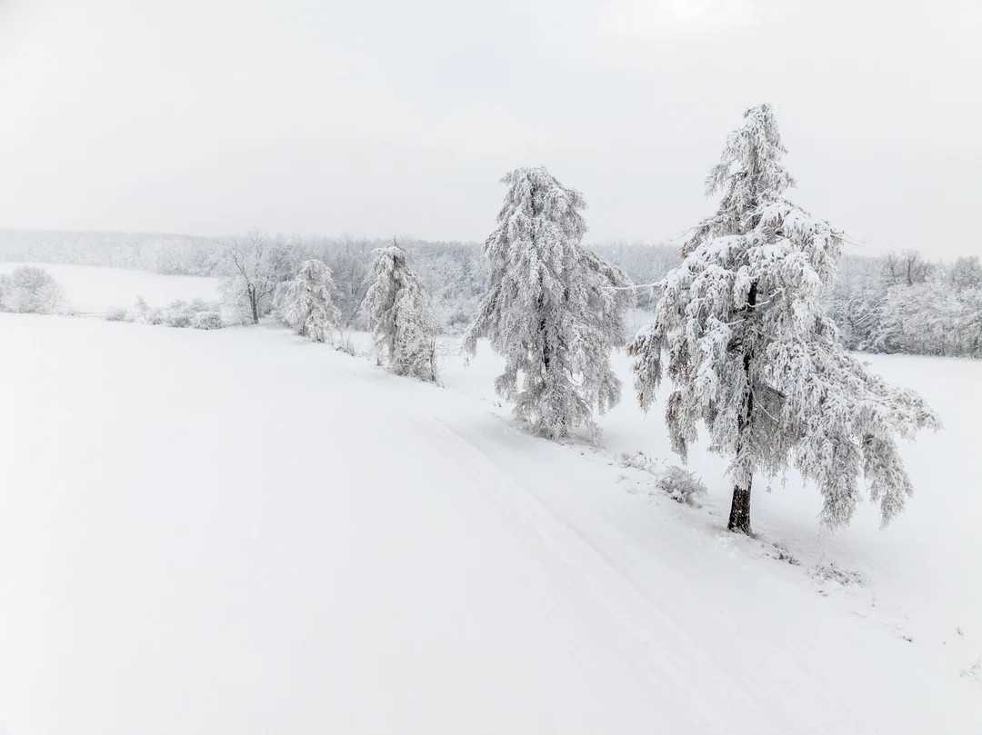 Snowscape in Thuringia | Scrolller