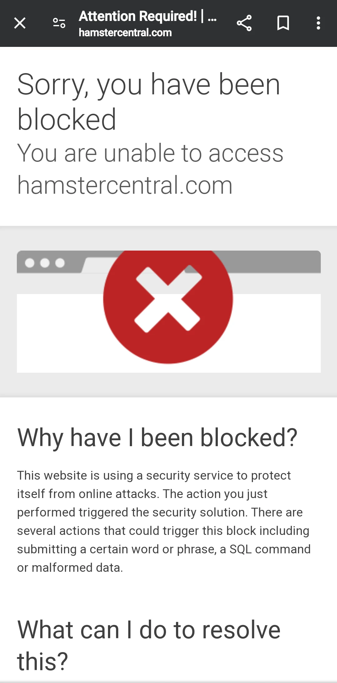 hamster central blocked ?? | Scrolller