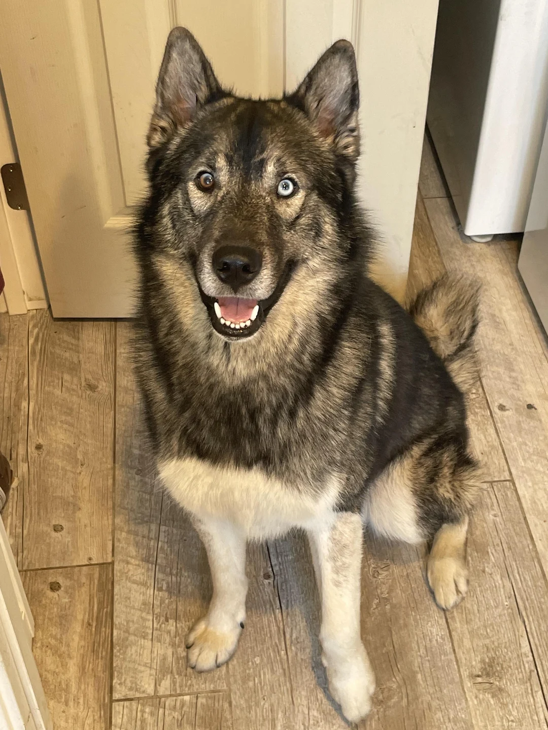 Enjoy this photo of CHONK. | Scrolller