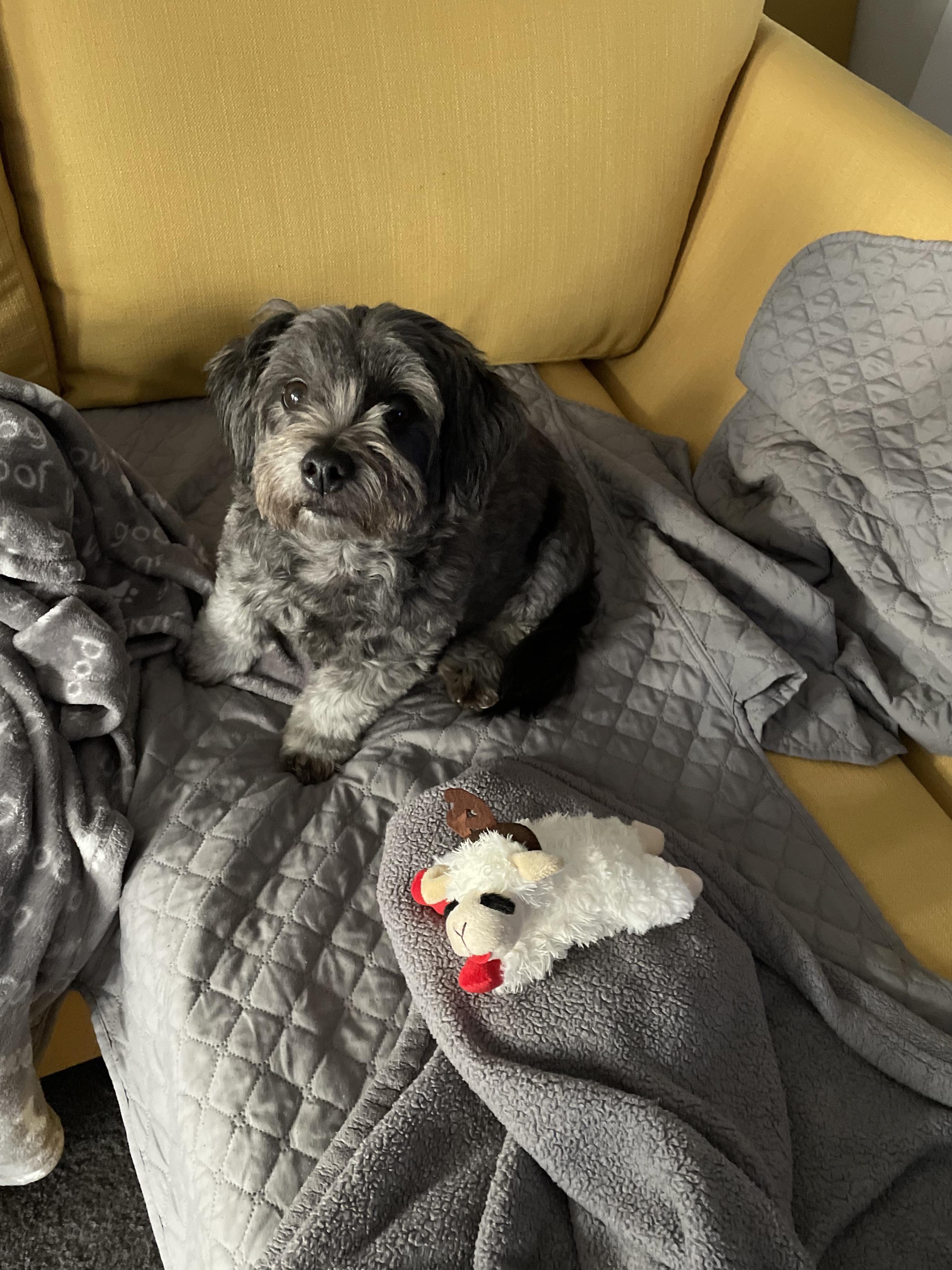 My baby, my heart, my child | Scrolller