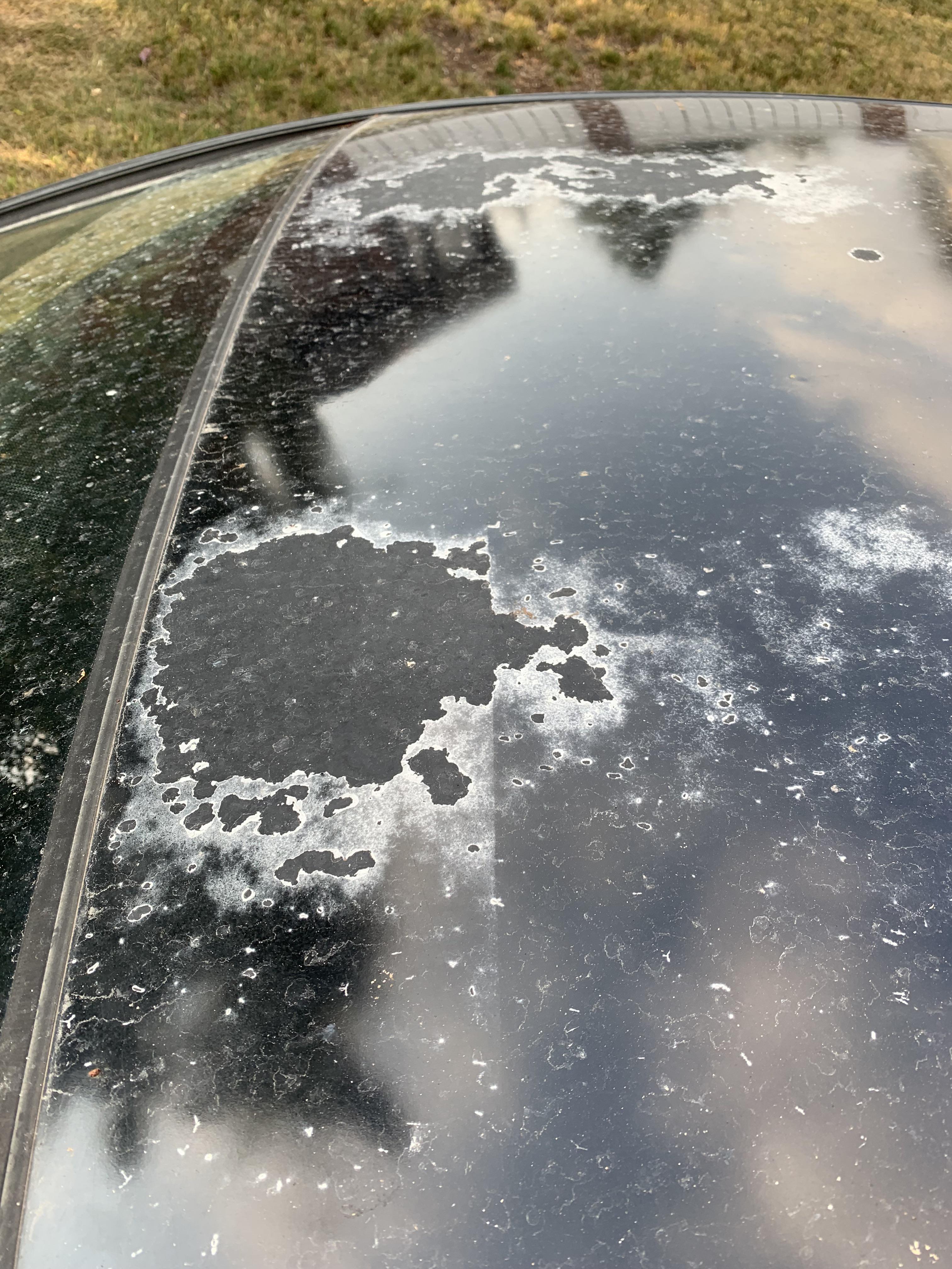 Paint chipping | Scrolller