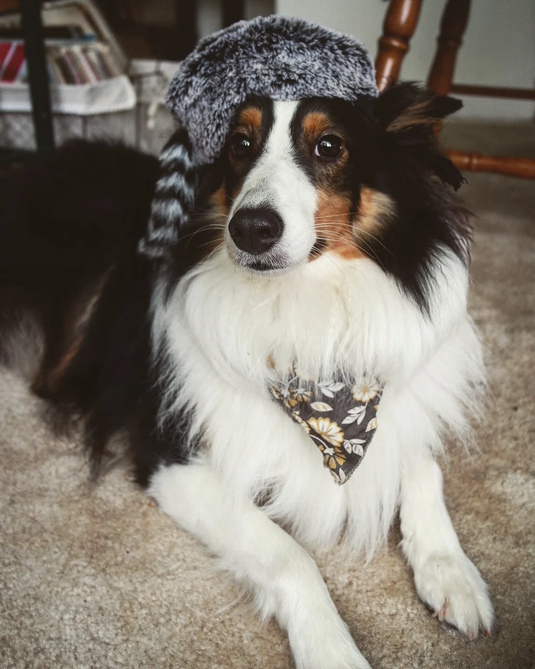 your welcome | Scrolller