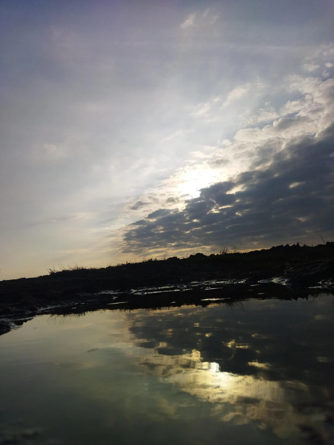 Hexagon, Pavuk, photography, 2024 | Scrolller